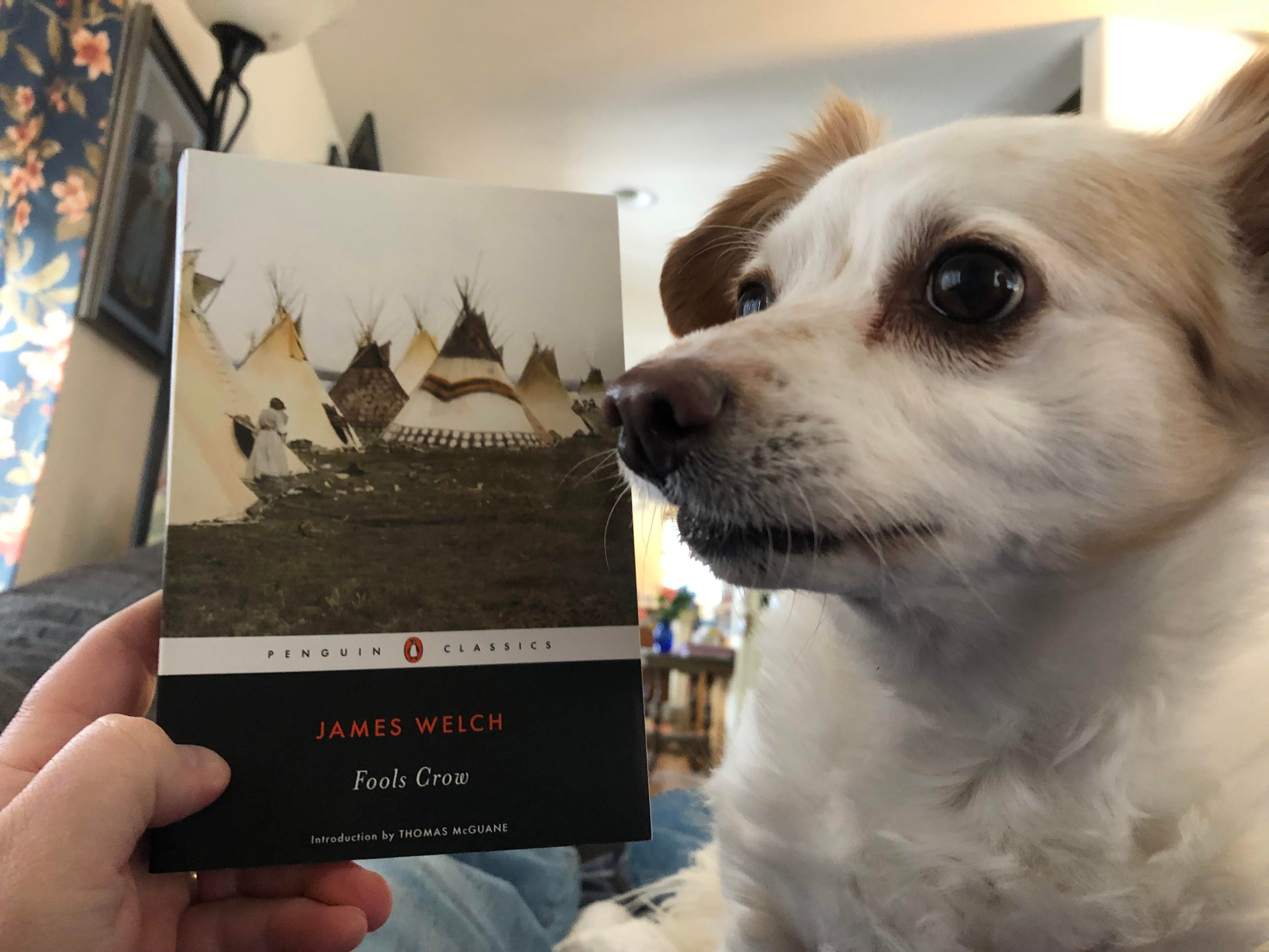 Fools Crow - by Craig M. Dunham