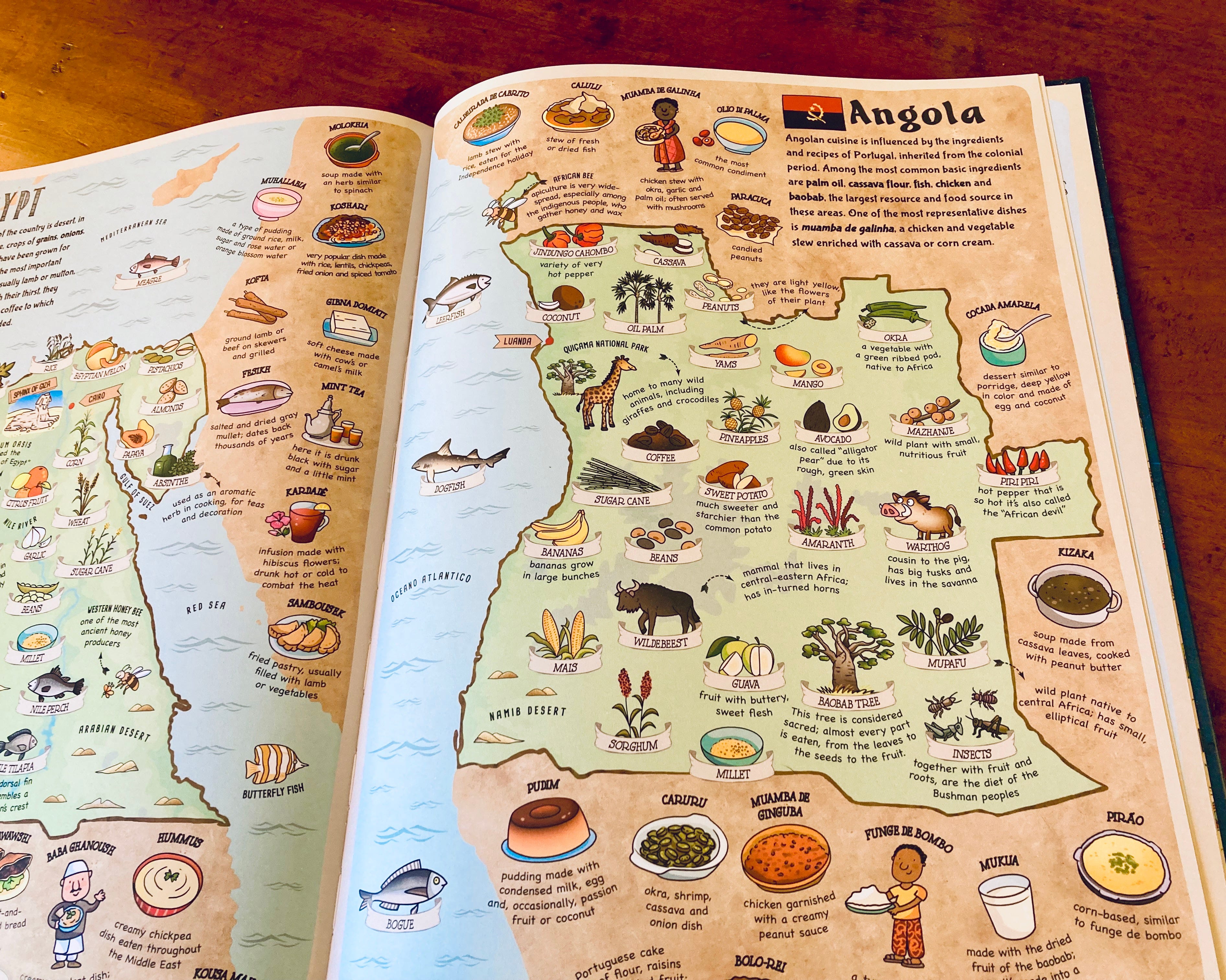 Taste of Africa - by Camela Zarcone