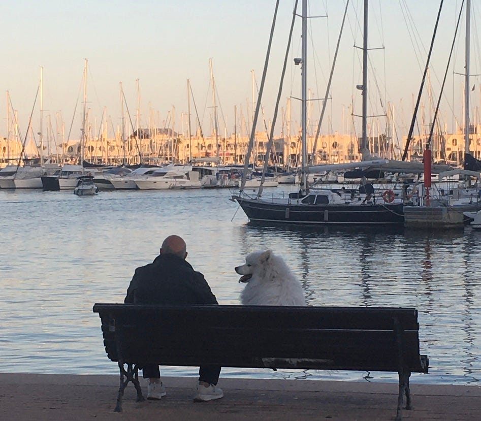 Rules are Rules - by Eloise Barry - File Away