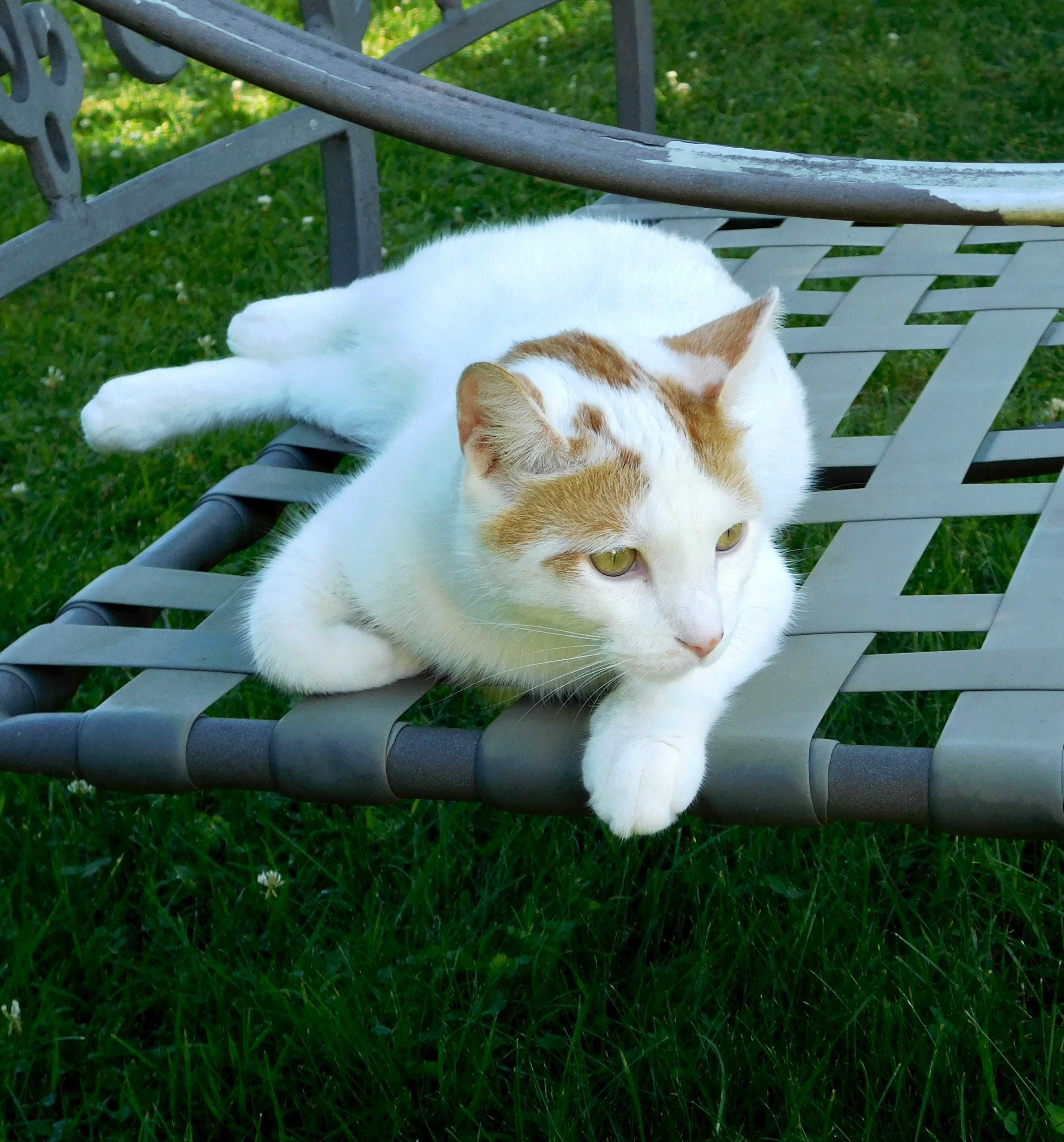 Jason Manning | Substack