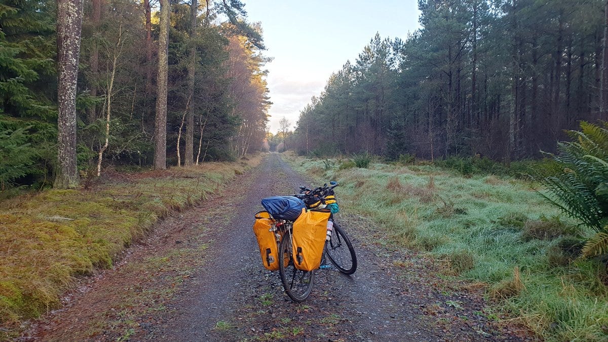 Yes To Yes-vember! - The David Charles Newsletter