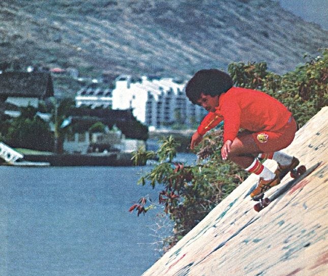 Skate - by Al Graziano - porch stew