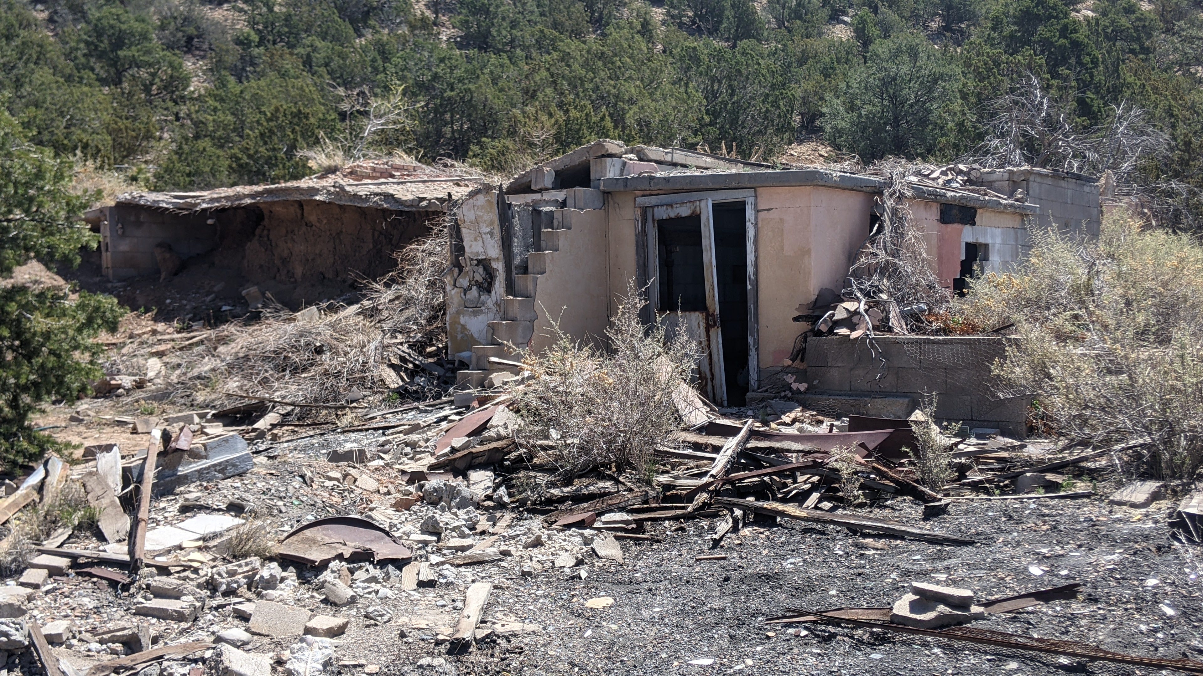 The Burnt-Down House - by Dane Benko
