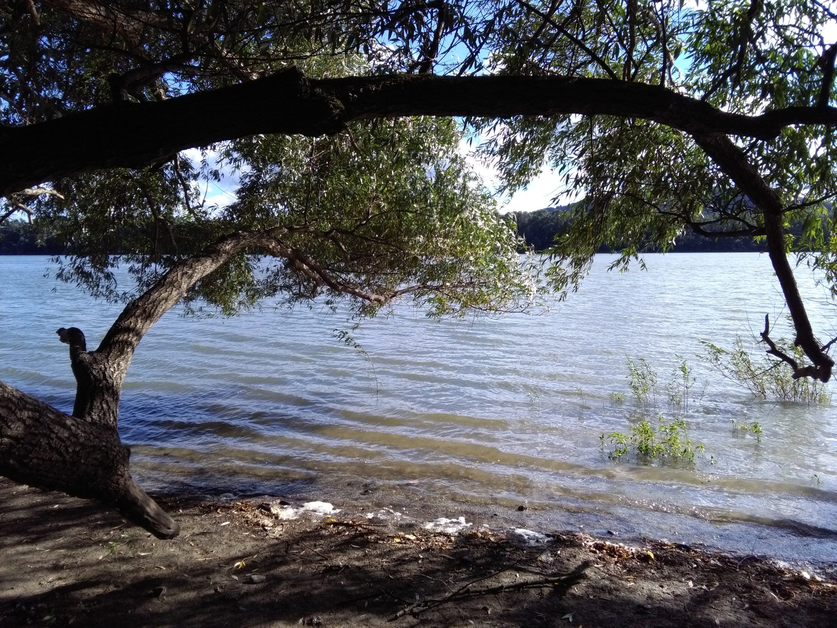 Első kerekezés: Kismaros - Nagymaros, 2020.10.04.