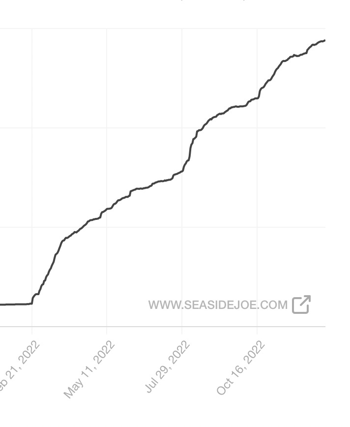 Stock Up, Stock Down: Seaside Joe - Seaside Joe
