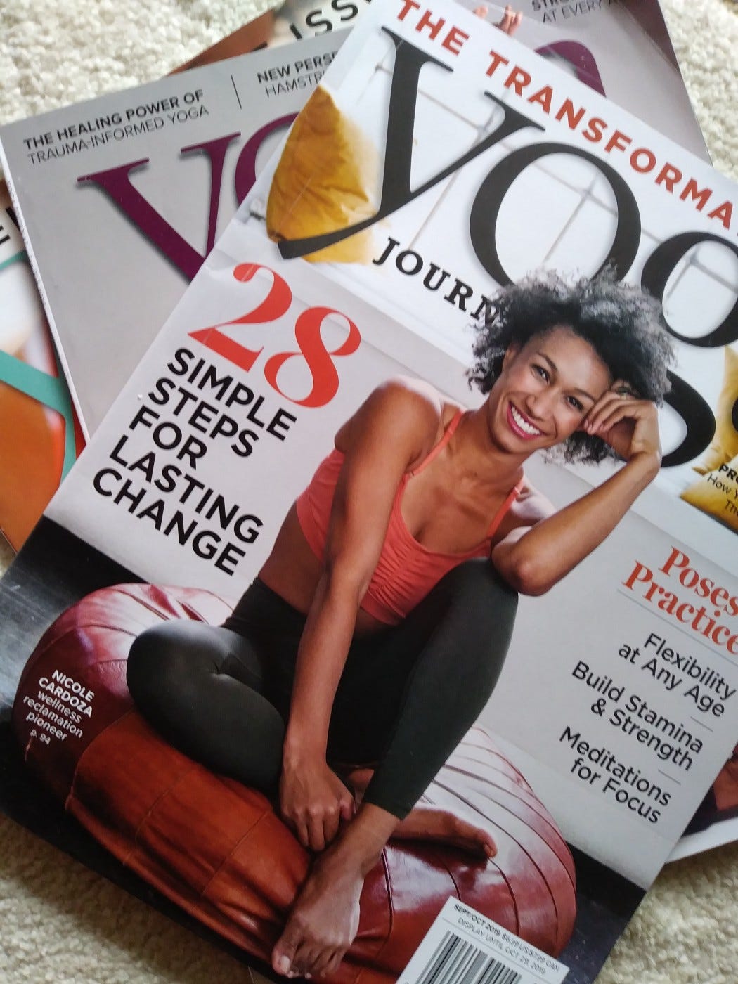 How Not To Do Yoga - by Bev Potter