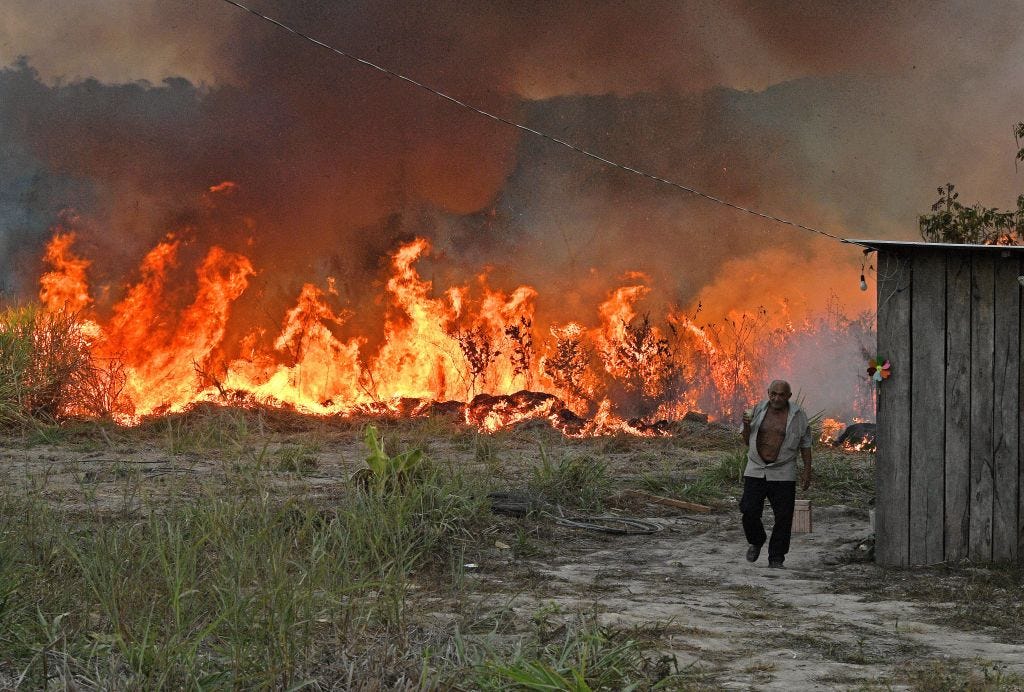 Fire, fire, everywhere. - by Emily Atkin - HEATED