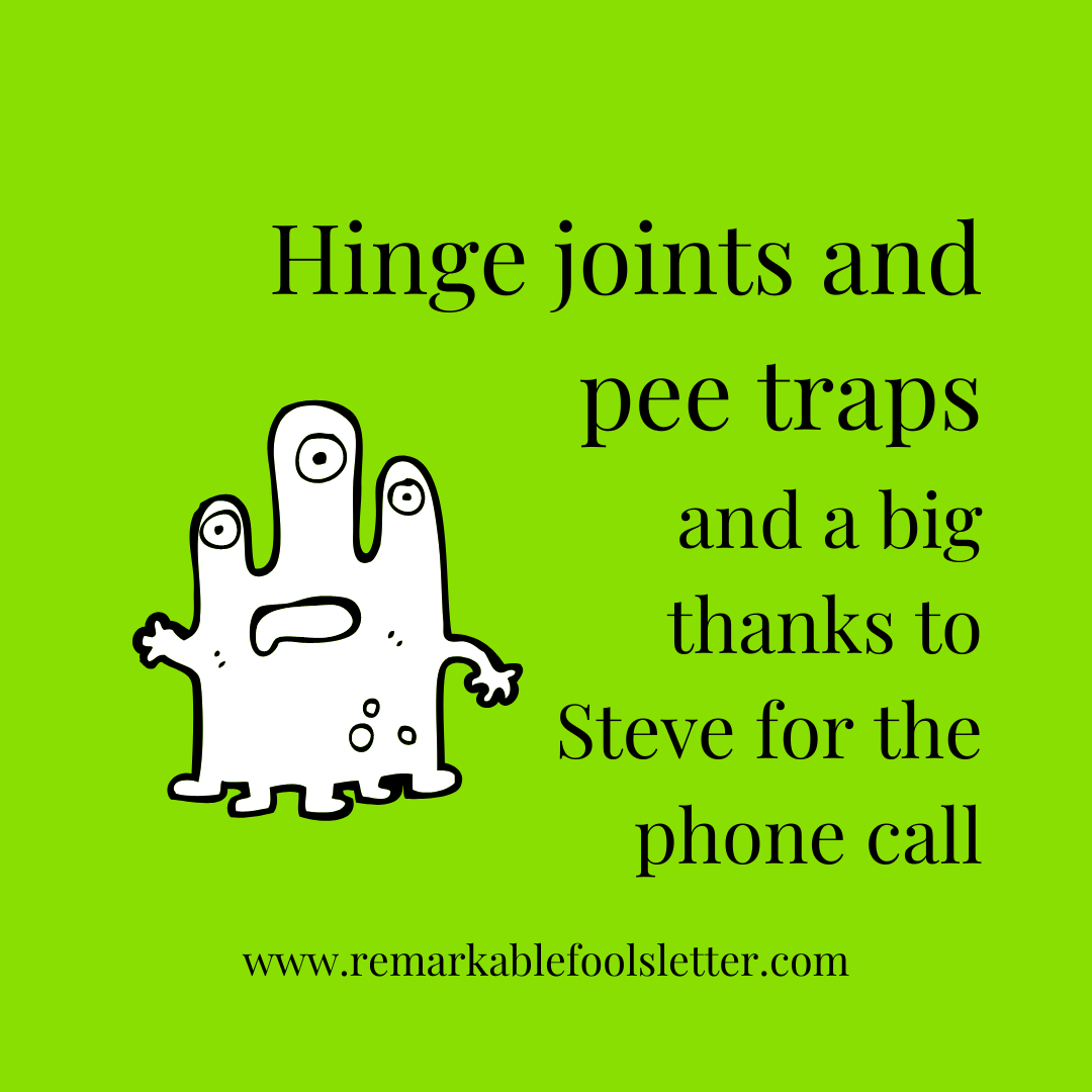 Hinge joints and pee traps - by Jim Dalling