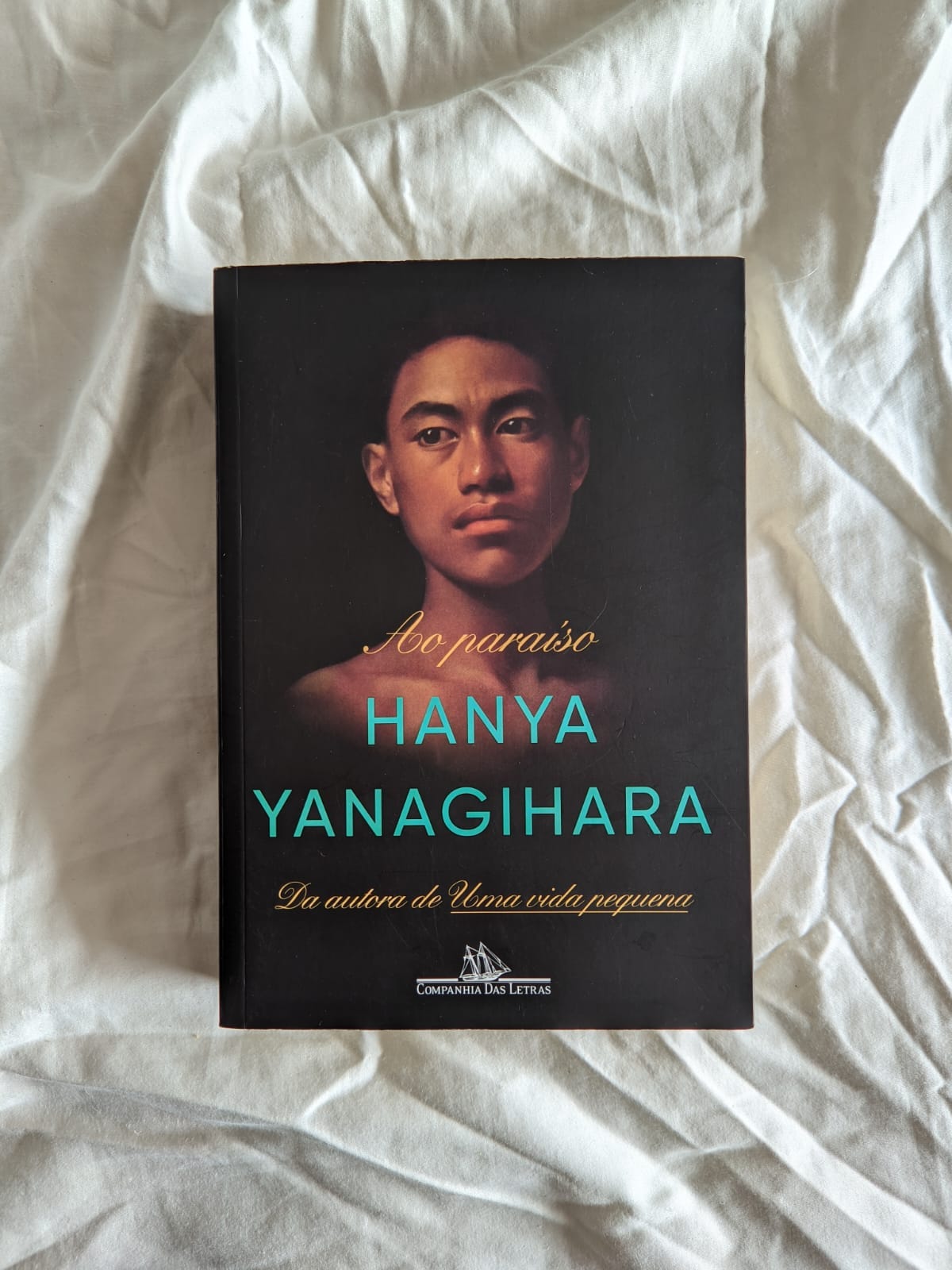 "Ao Paraíso", de Hanya Yanagihara - by Sarah Germano