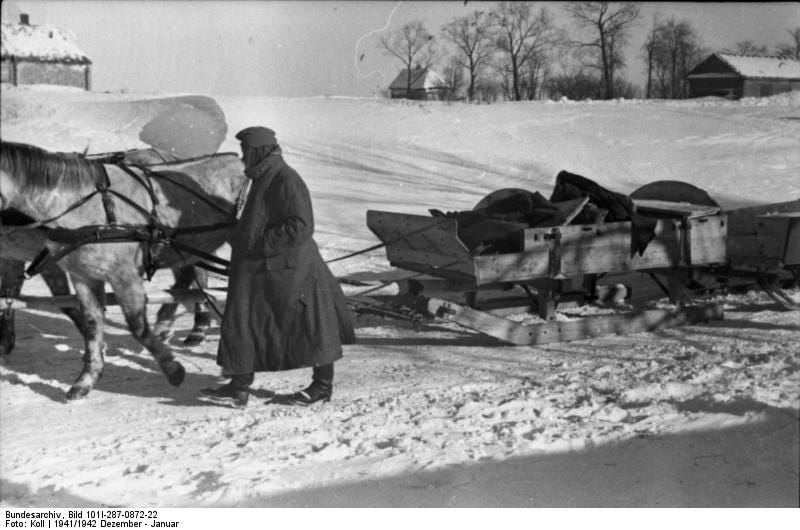 Hitler now commands the Army - by Martin Cherrett