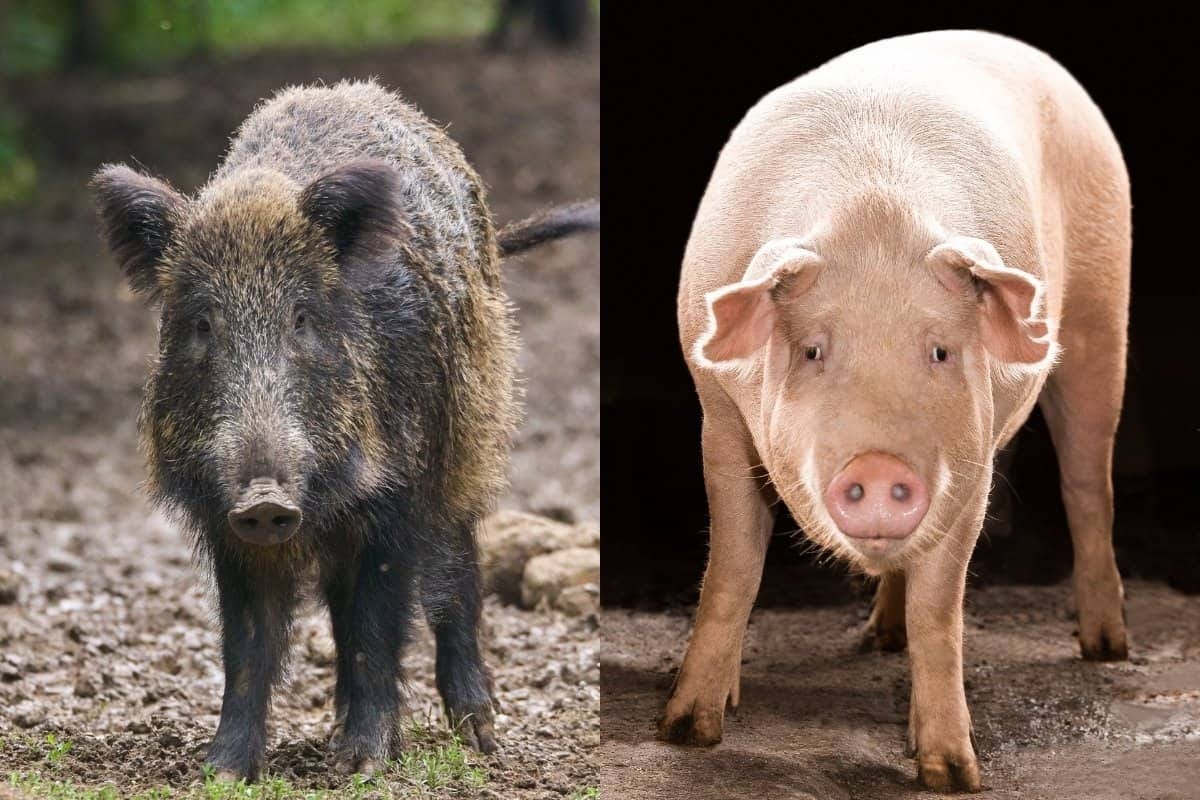 El entorno más hostil | Dr. Oriol Roda - by Oriol Roda