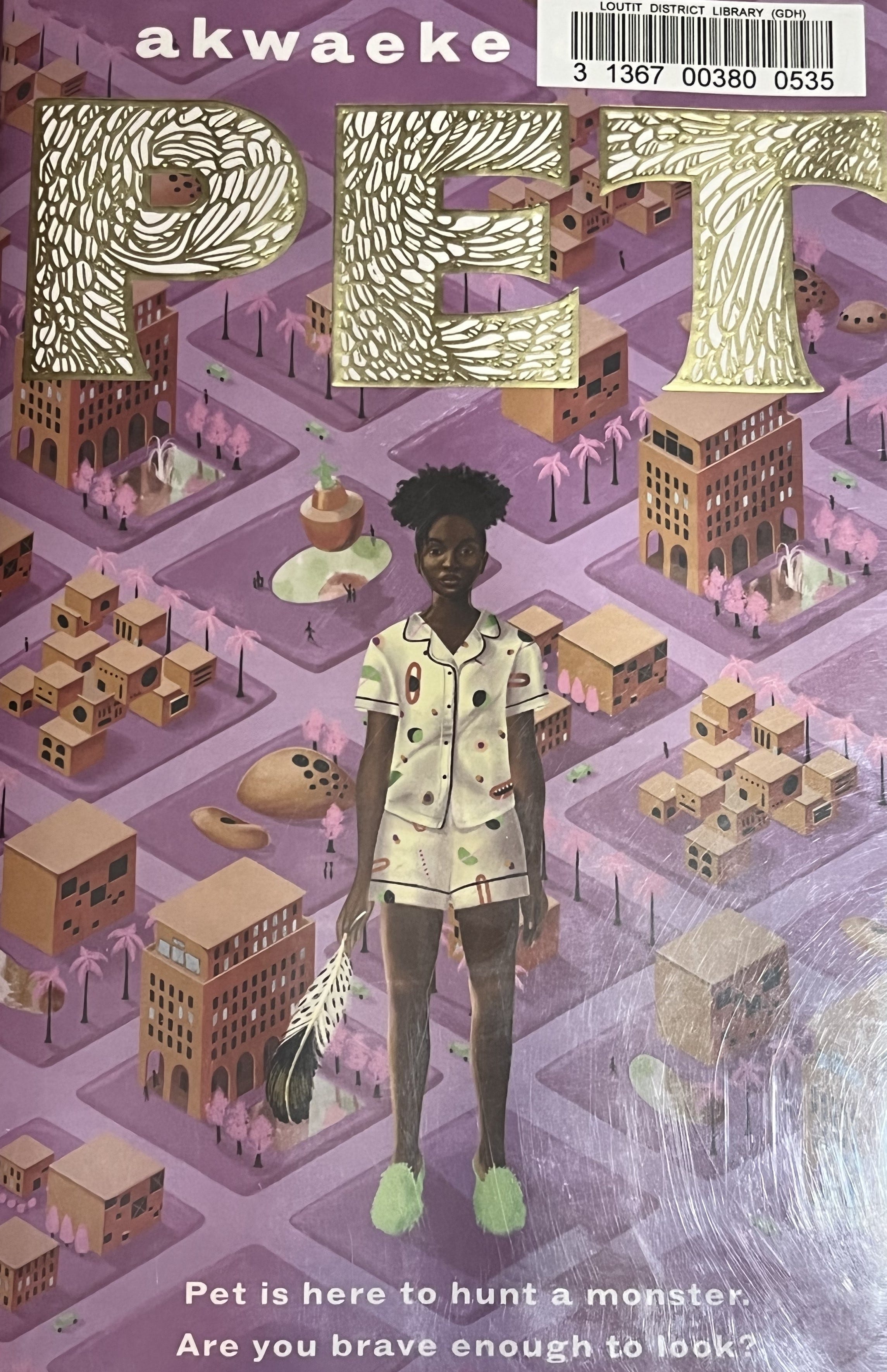 Pet by Akwaeke Emezi an Indoctrination Book