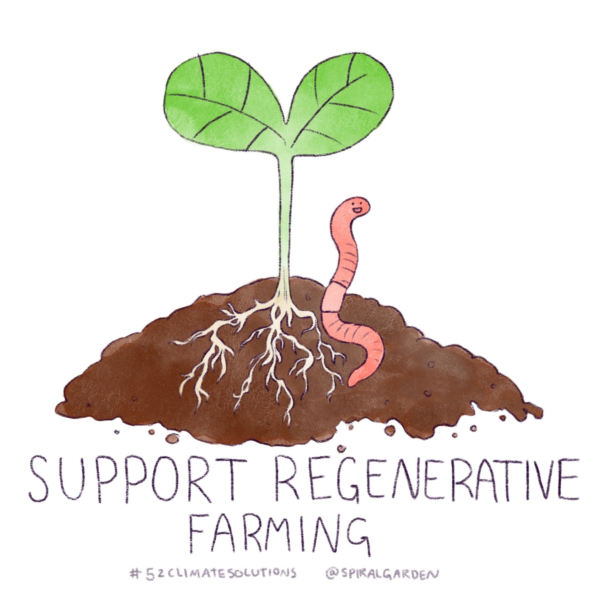 26: Support Regenerative Farming
