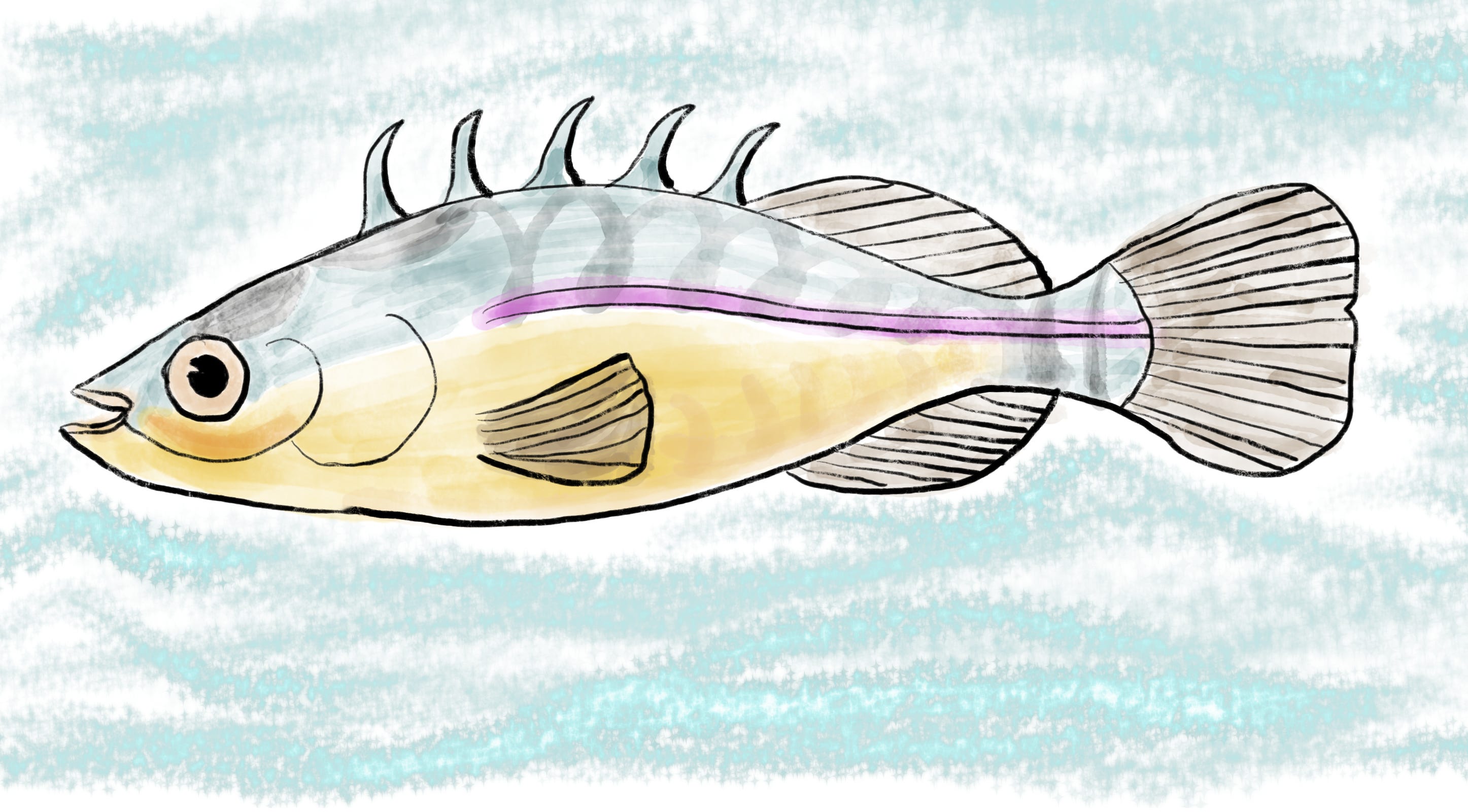 116: Brook Stickleback - by Bix - Colorado Wildlife