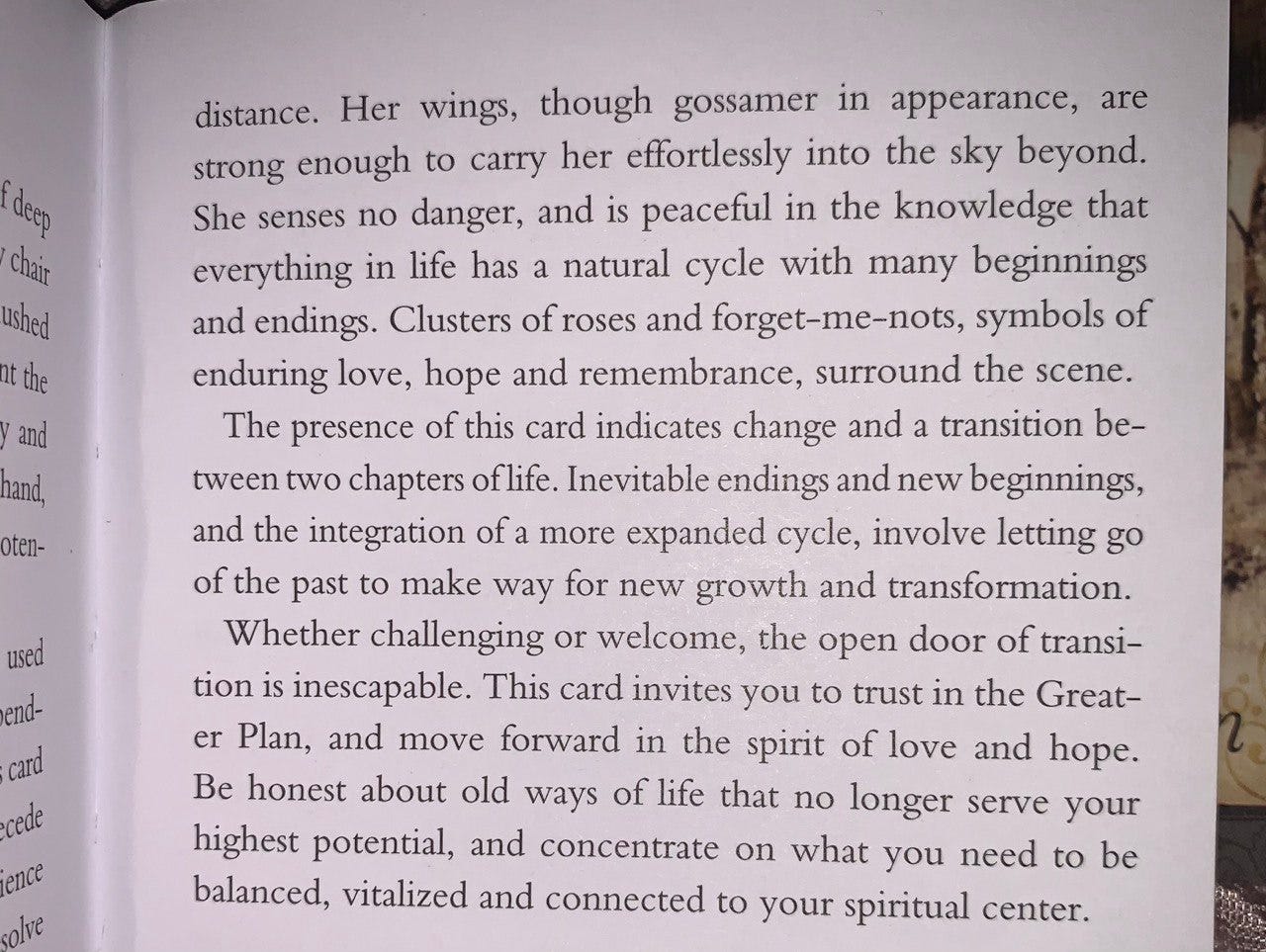 Survive and Rebuild - The Starfire Codes by Demi Pietchell