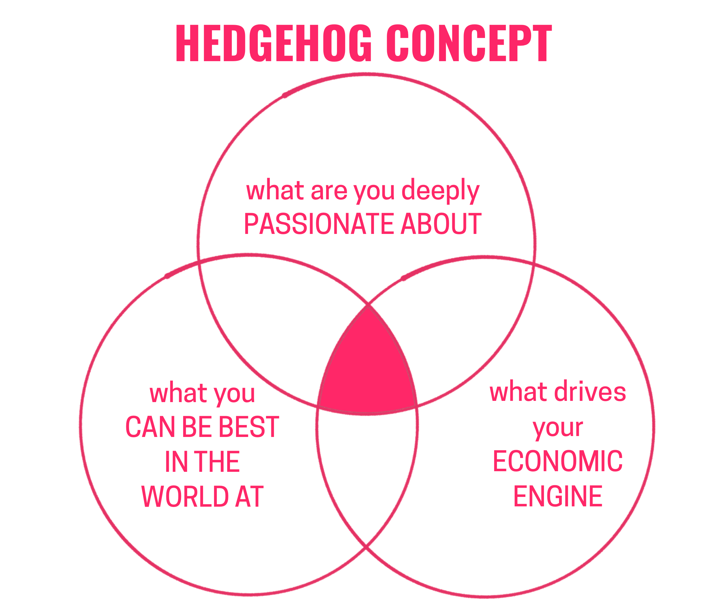 The hedgehog concept of Zencargo’s engineering strategy
