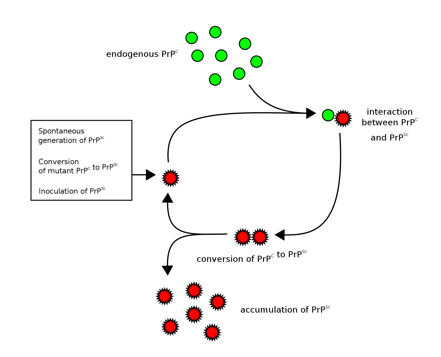 Bullshit is Prionic - by John Bjorn Nelson