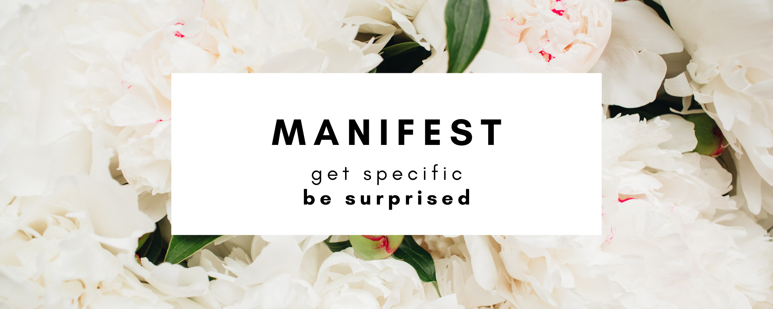 How I Manifested My Dream Cat - Jadine Lydia