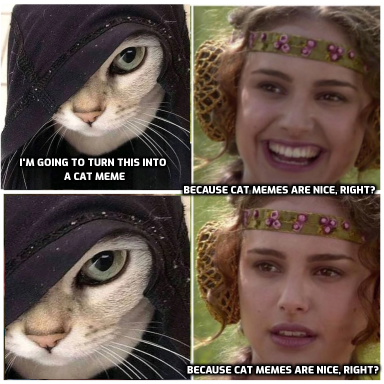 sunday memepool - by el gato malo - bad cattitude