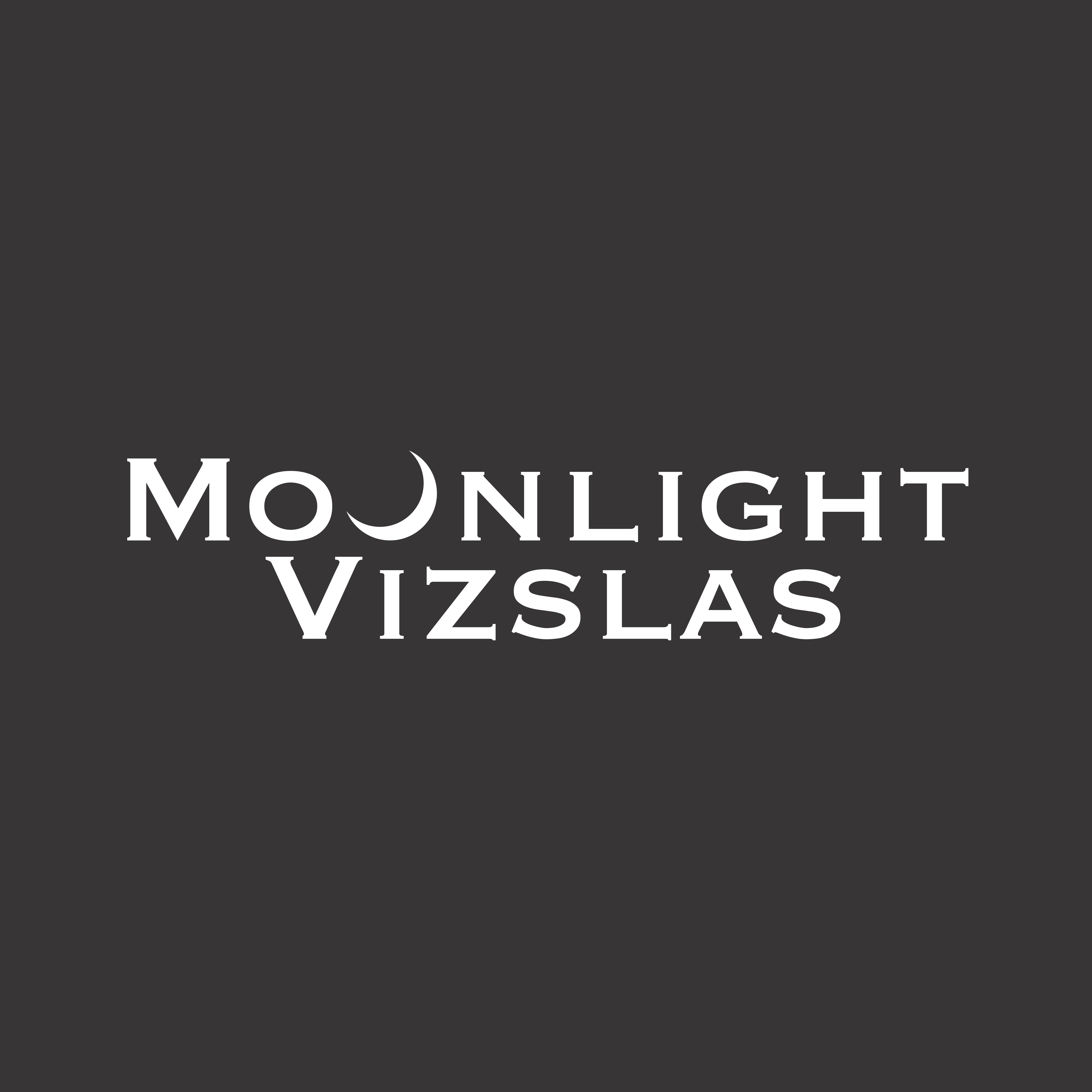 Moonlight Vizslas | Substack