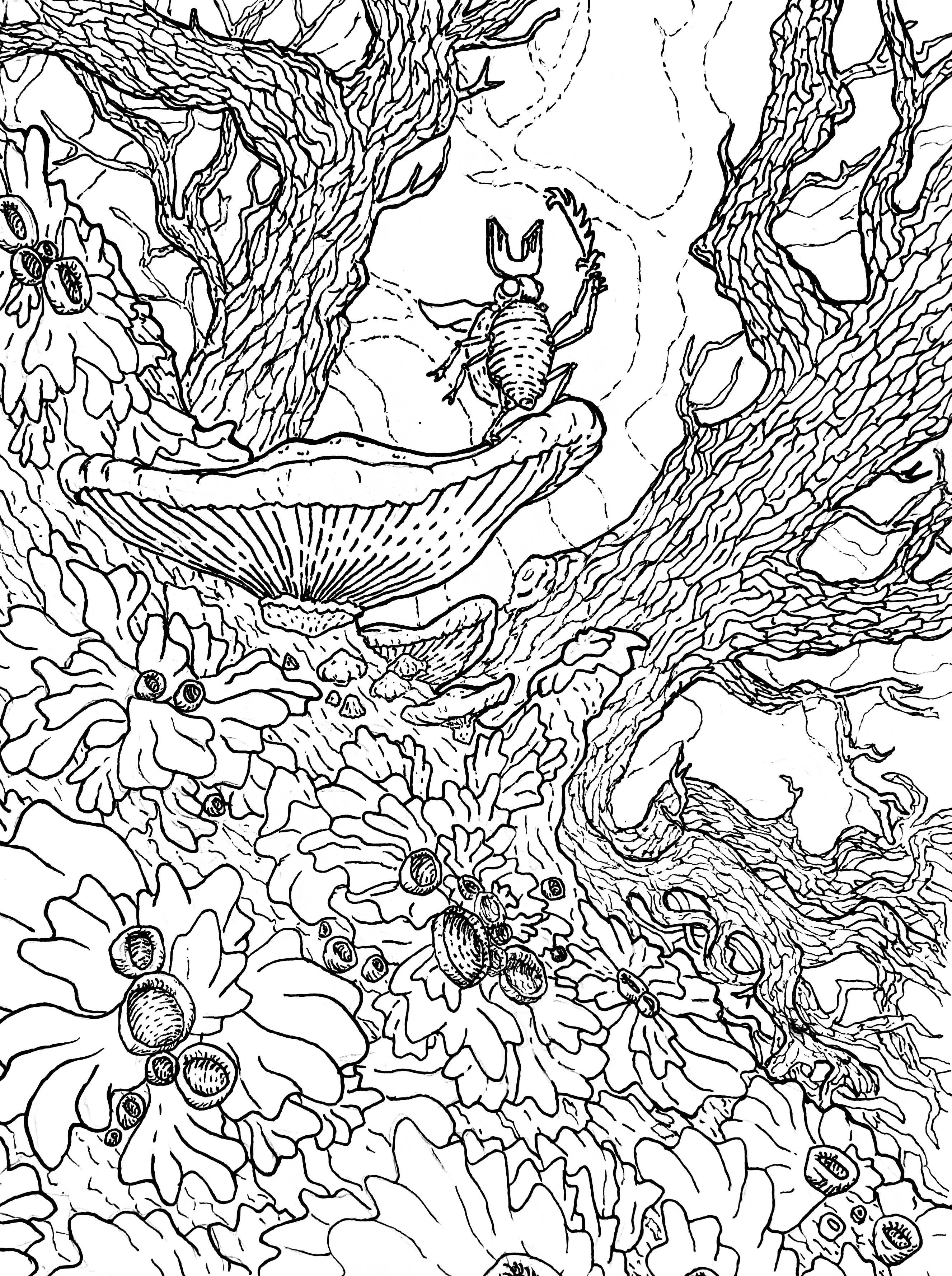 Launched: Lost Realms the TTRPG Coloring Book