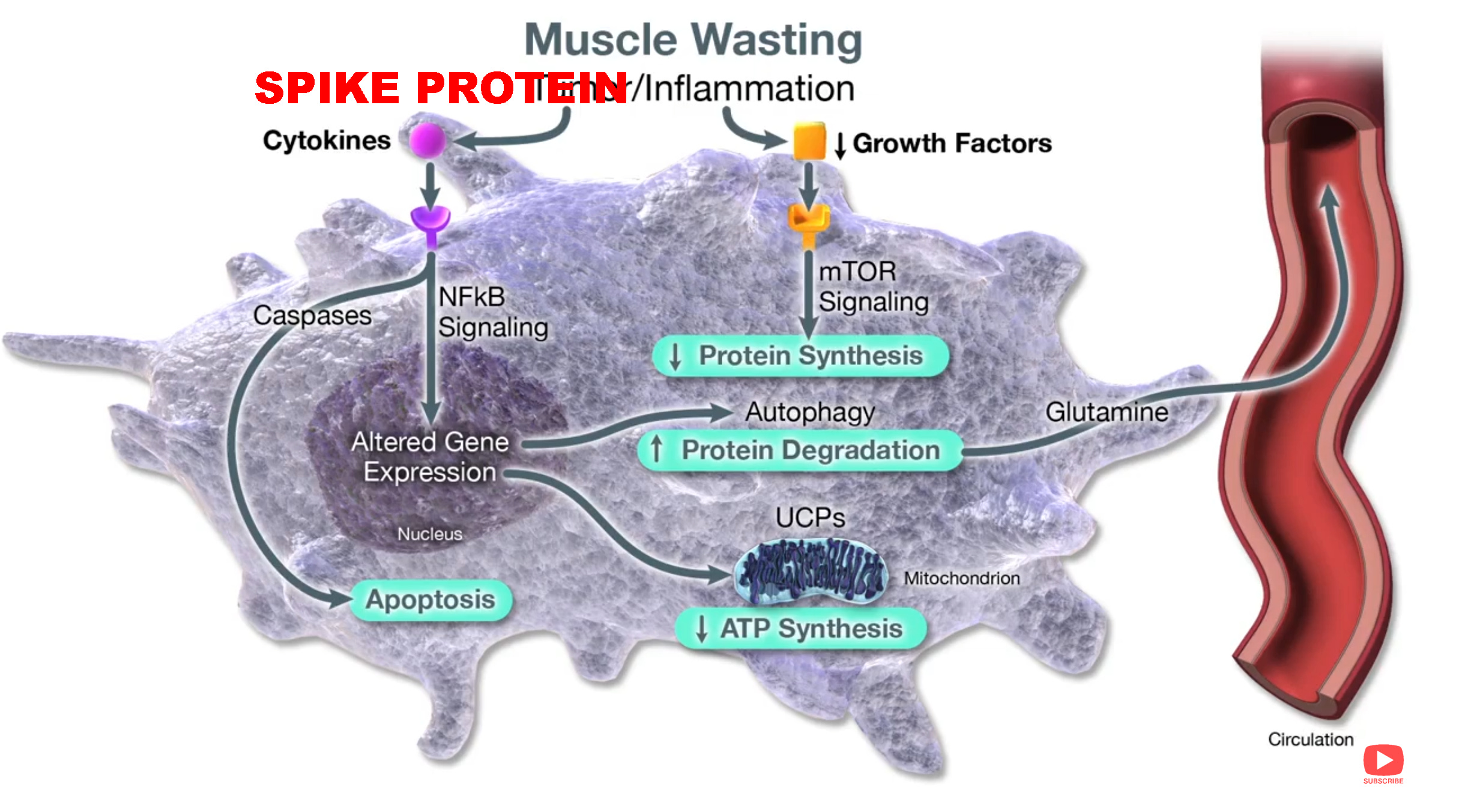 The Spike Protein FUNCTIONS AS A “MICROTUMOR”: Instantaneous ...