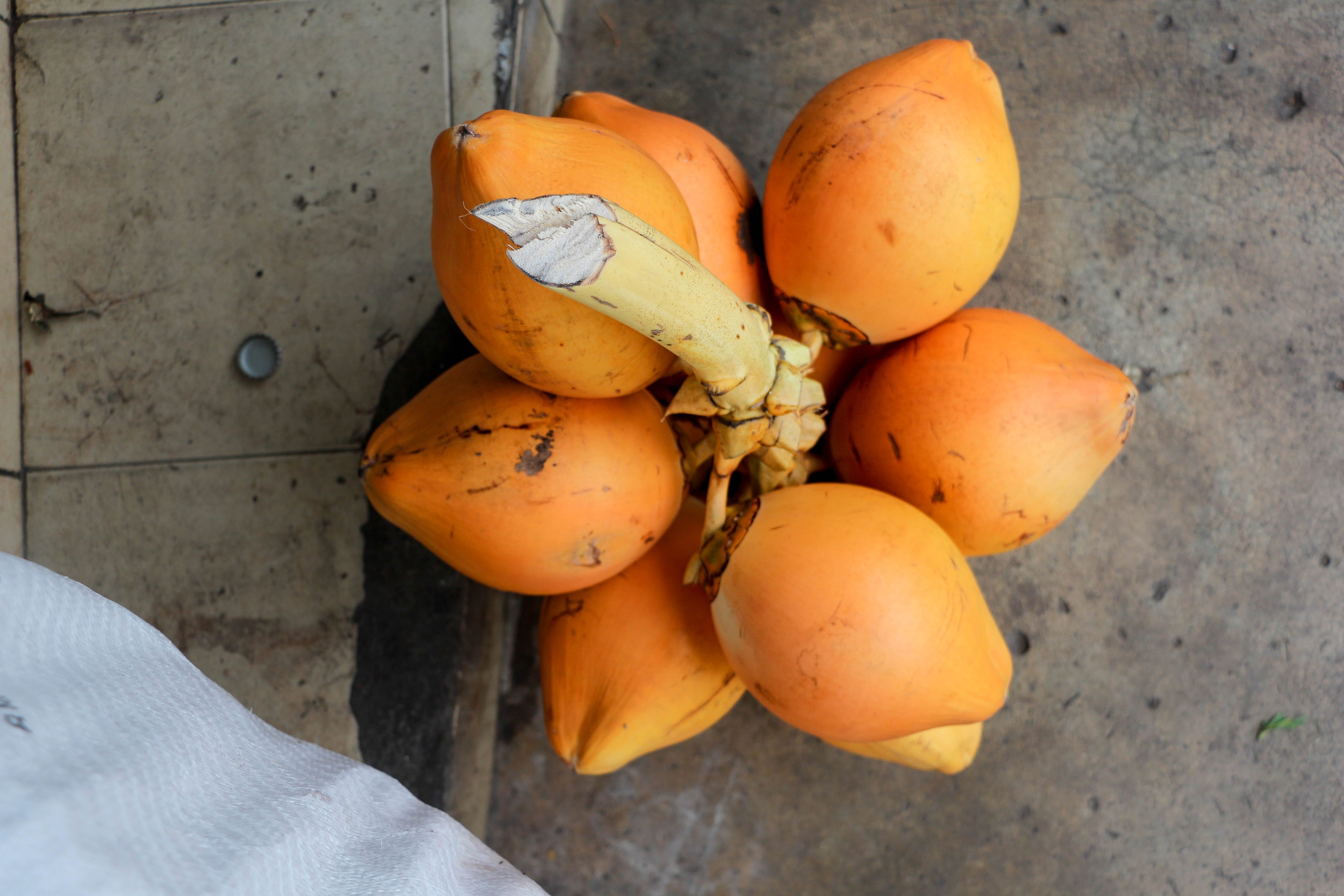 Thambili: the king of all coconuts - Vittles