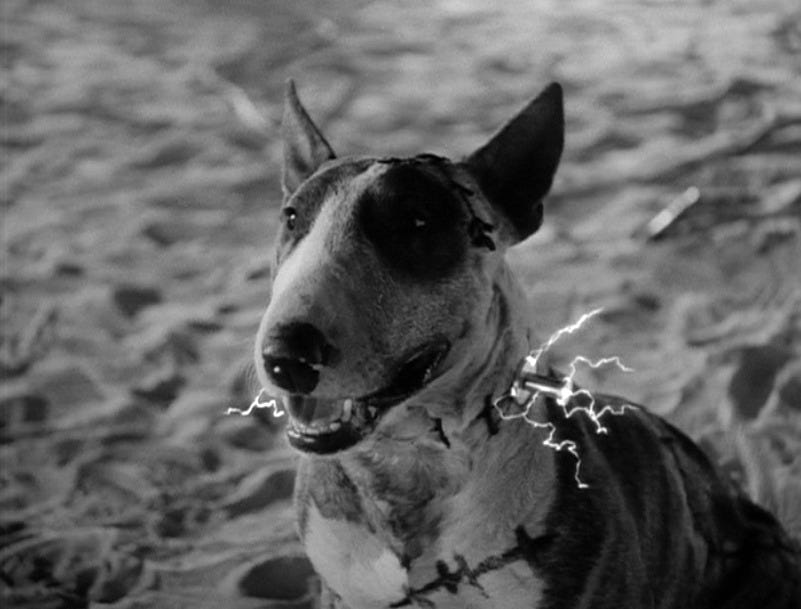 5 Frankenstein Adaptations to Watch - by Kyle Smith