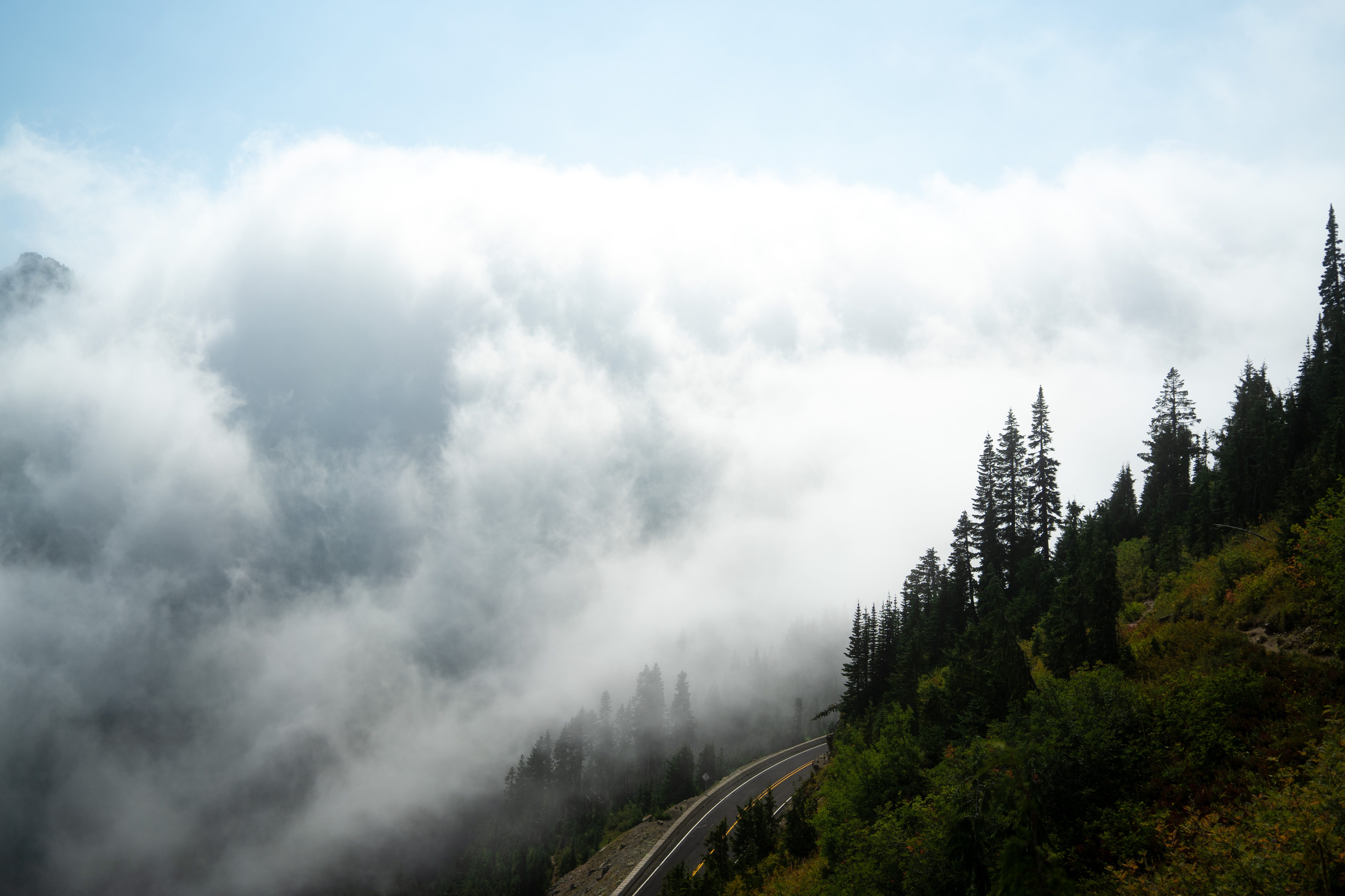 The many endings of the PCT - by Wesley Riddle - Monstrable