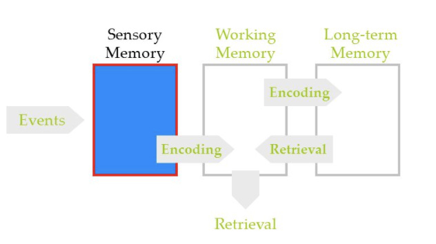 Auditory Memes for Quranteens - Jake’s Newsletter