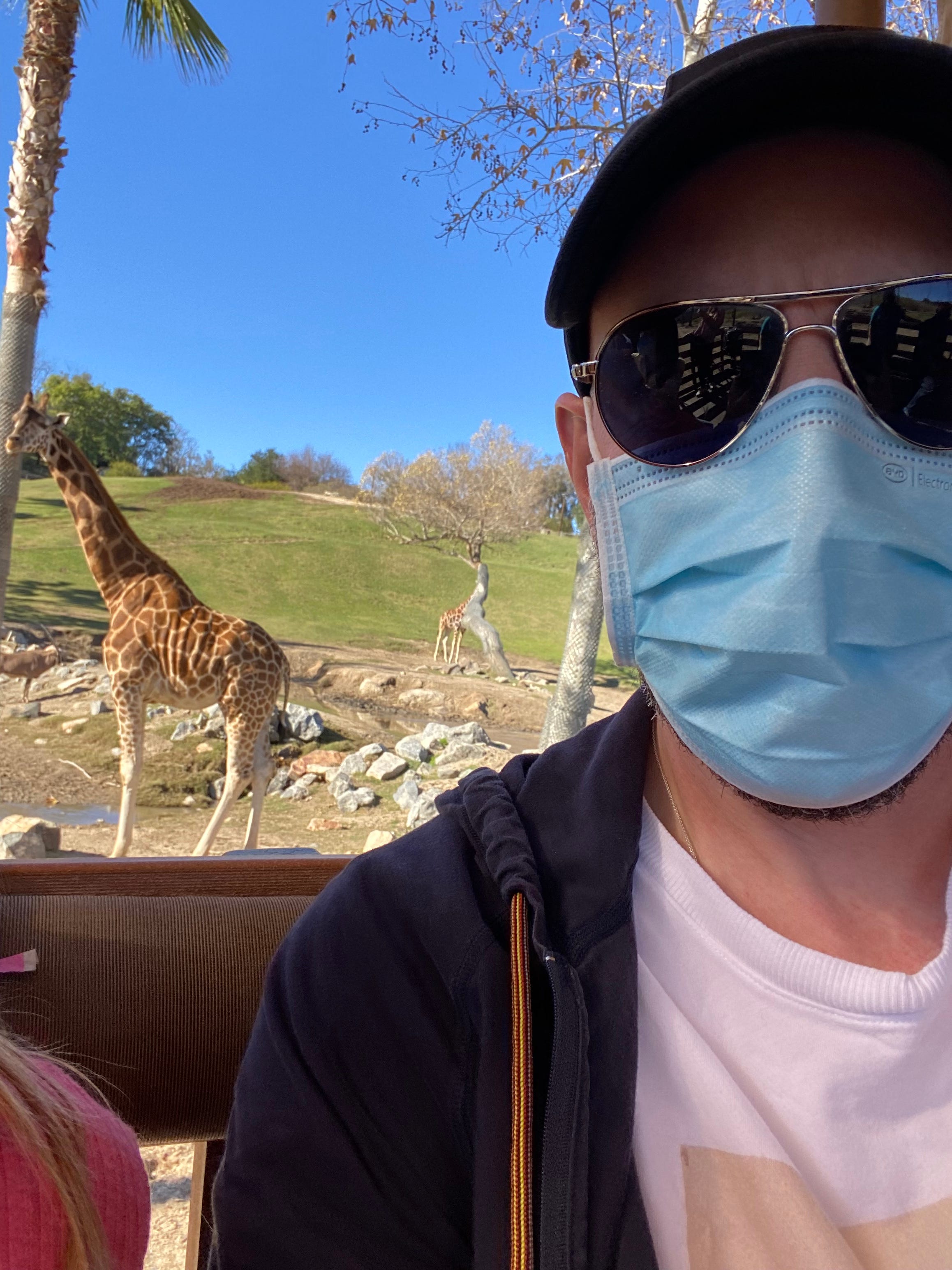 START HERE: Welcome to Exploding Giraffe