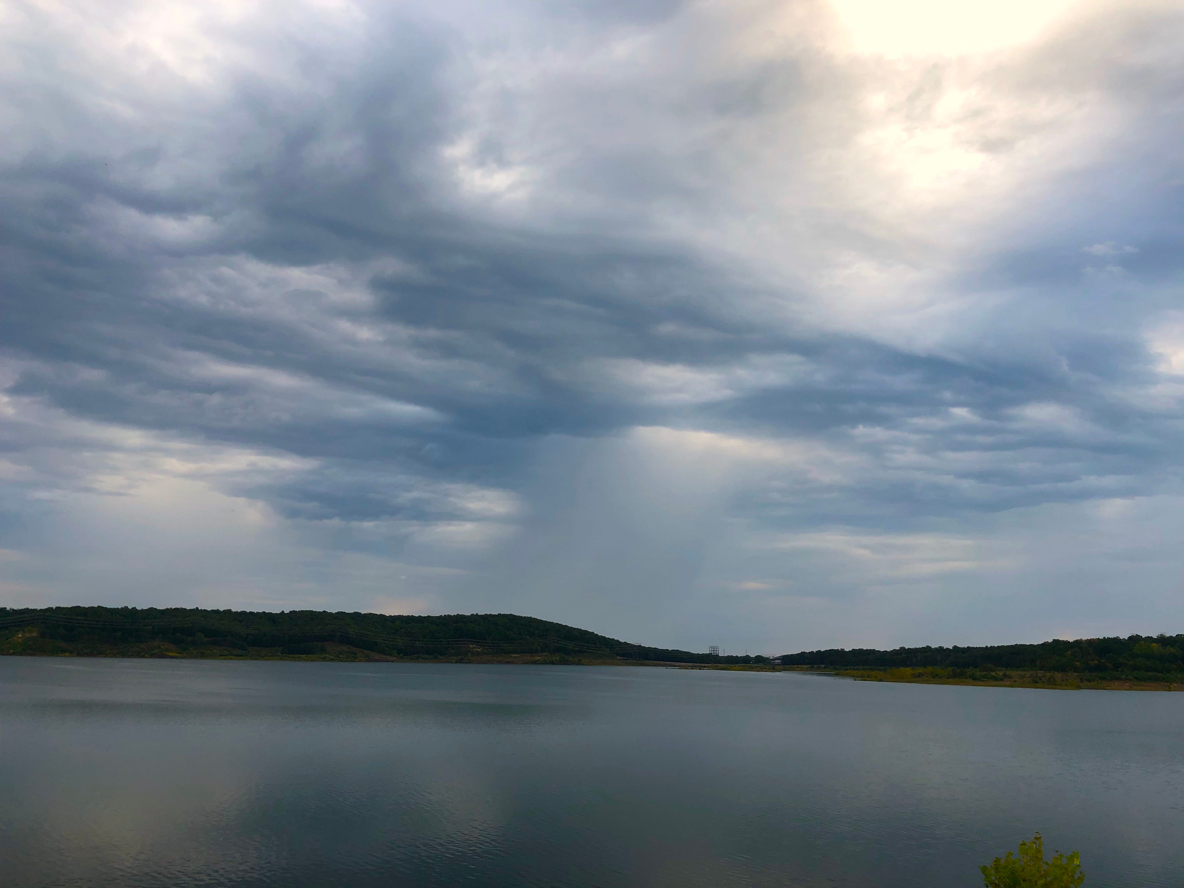 Futures of the South - by Tabitha Arnold