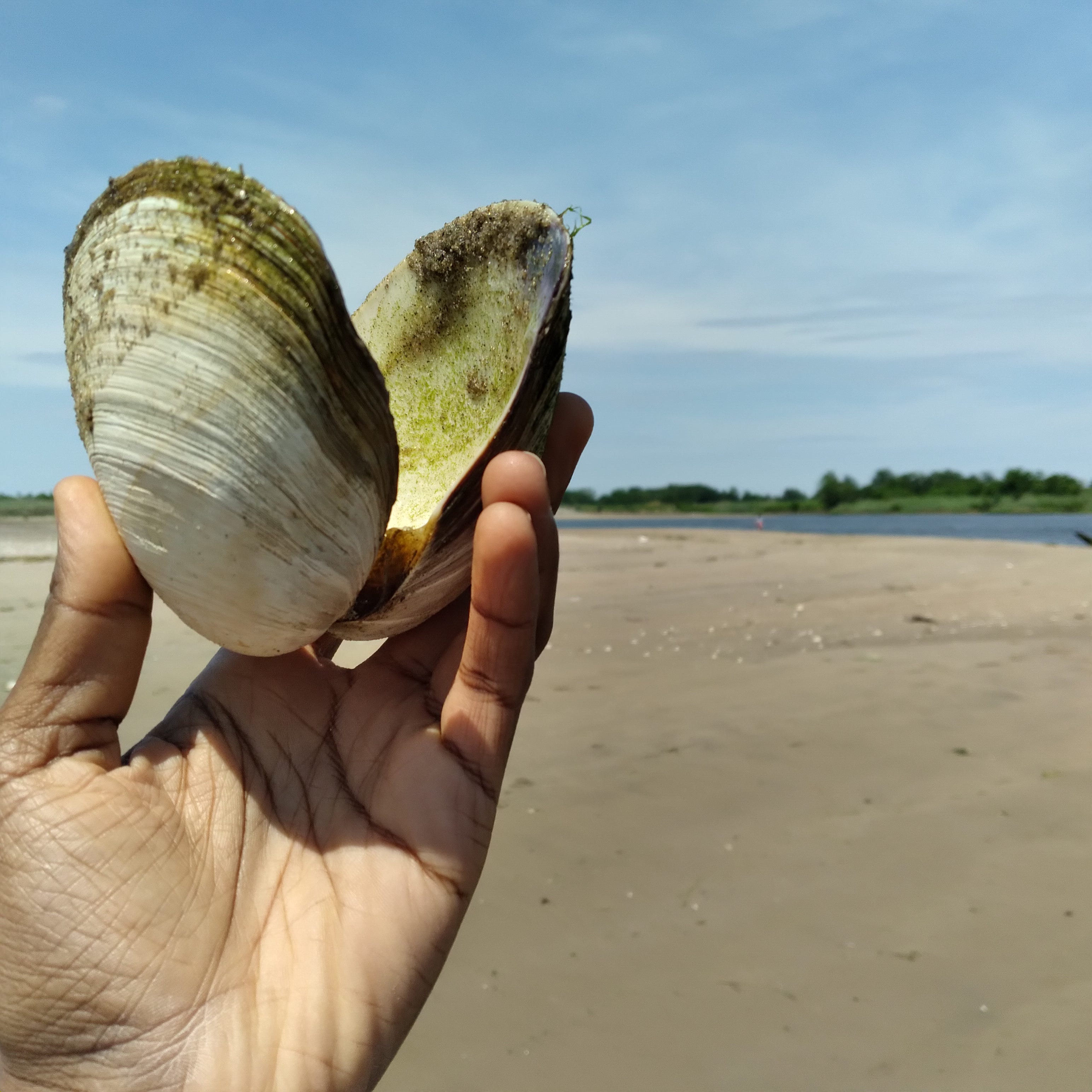 Simone Johnson | Substack