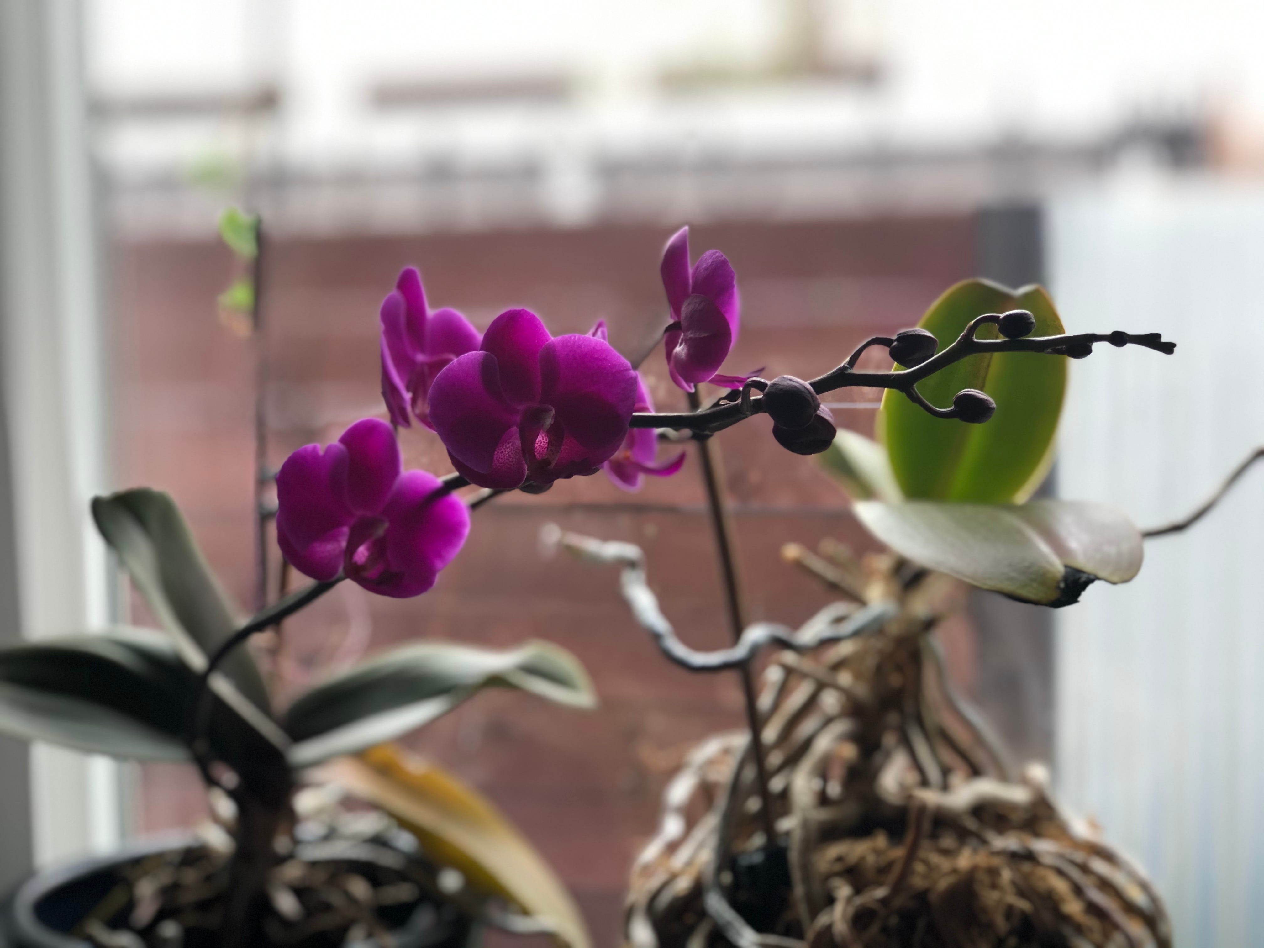 How to Embrace Randomness in your creative practice