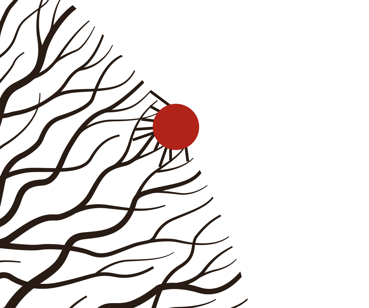 The Tree of Knowledge - by Tomas Pueyo