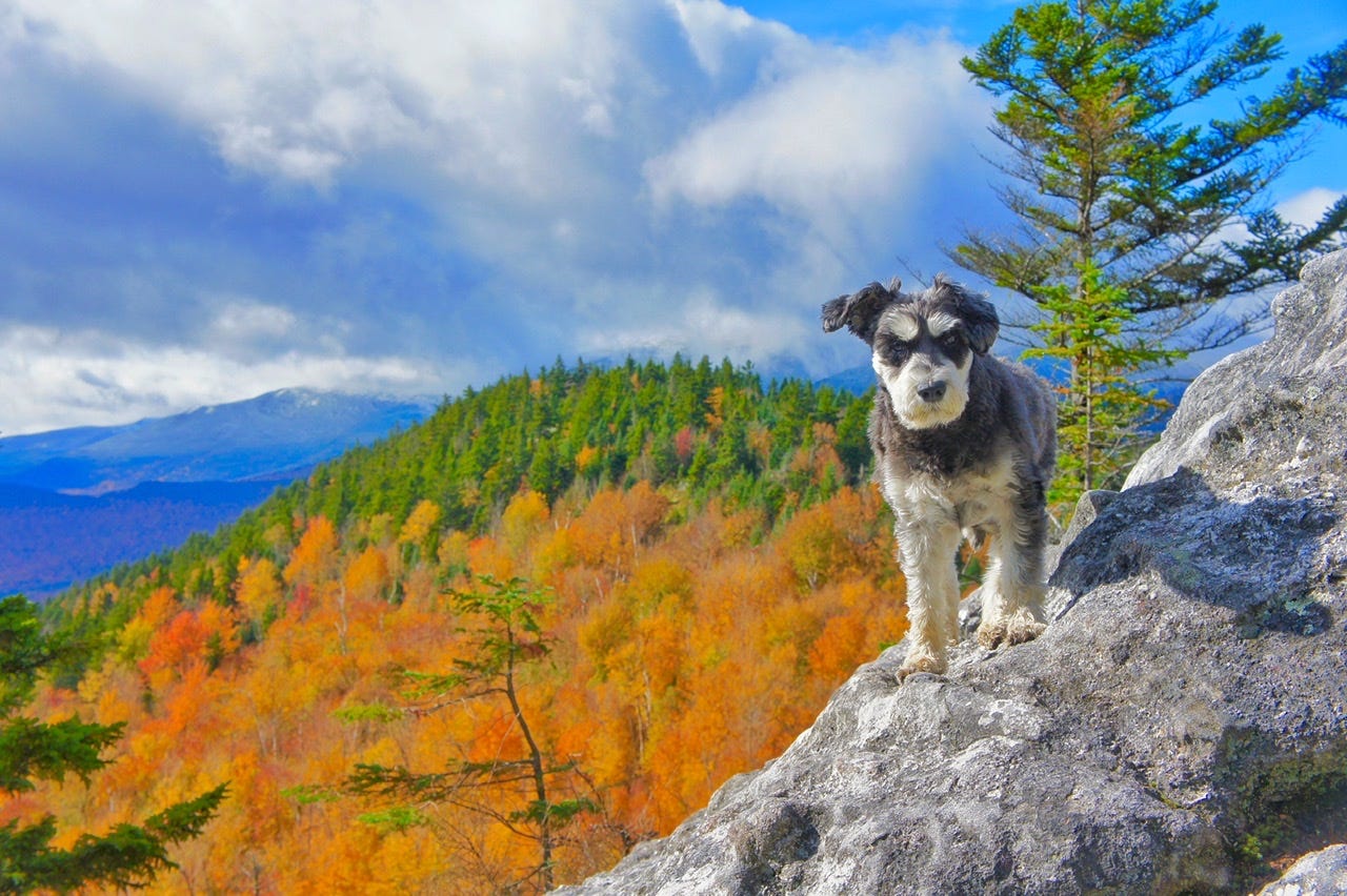 Atticus, Death, Regrets & Travel - Tom Ryan, Author