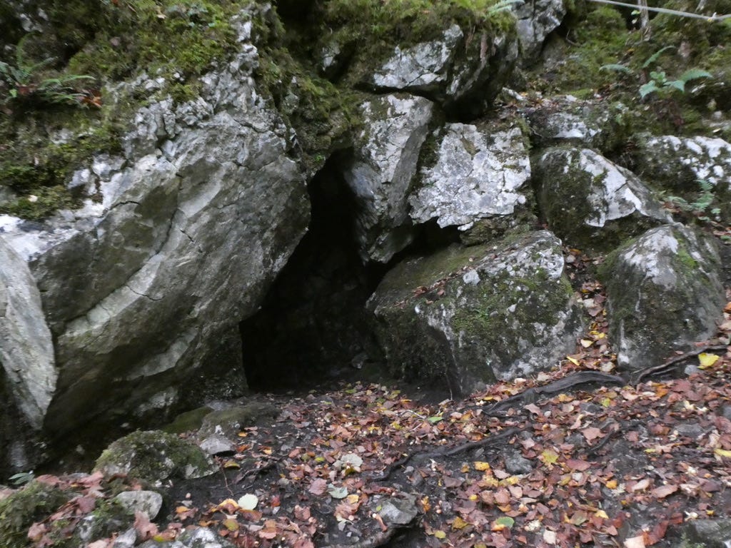 The View from the Cave - by Paul Kingsnorth