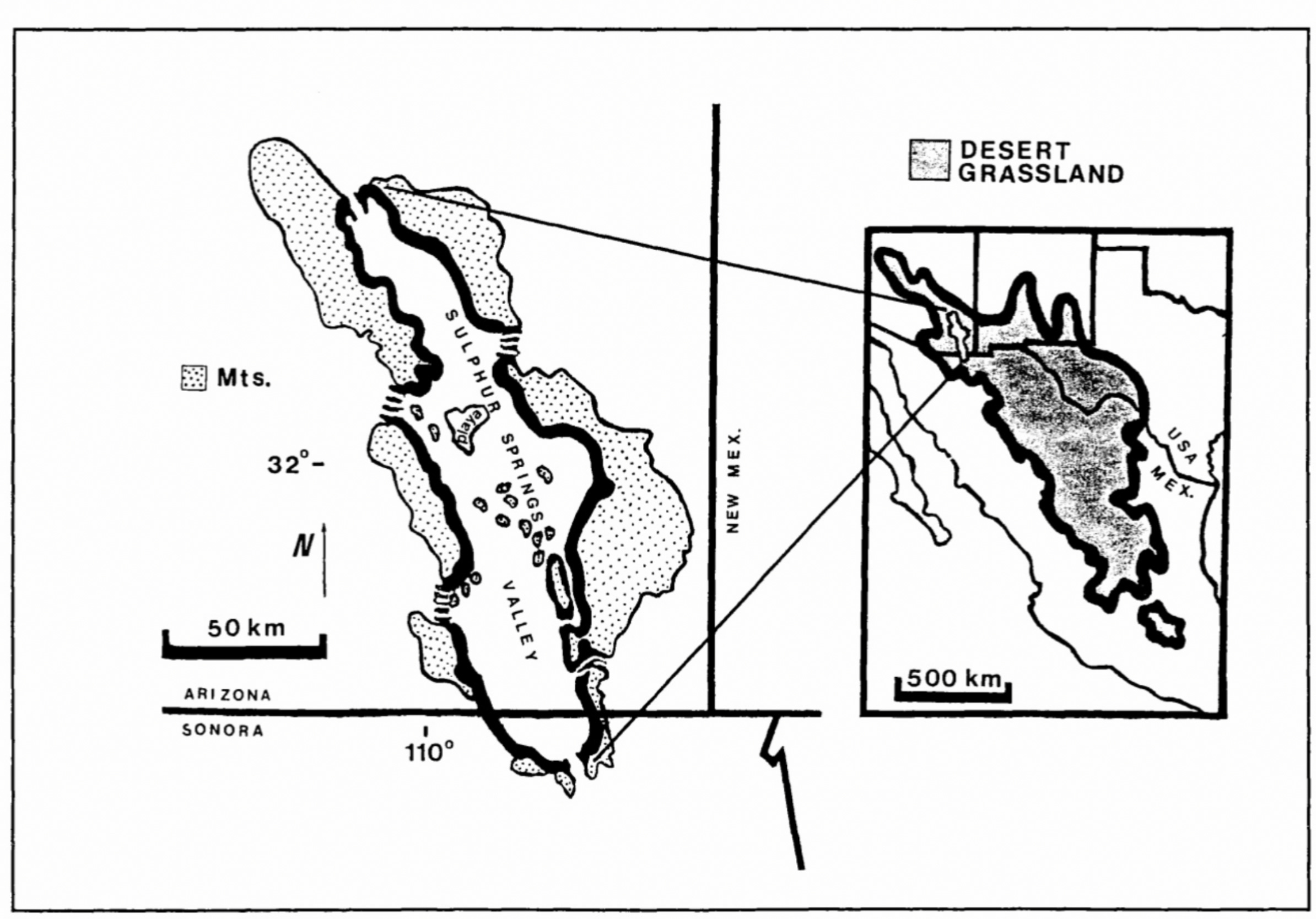 The Not So Mysterious Case of the Vanishing Tiger Beetles of Willcox Lake
