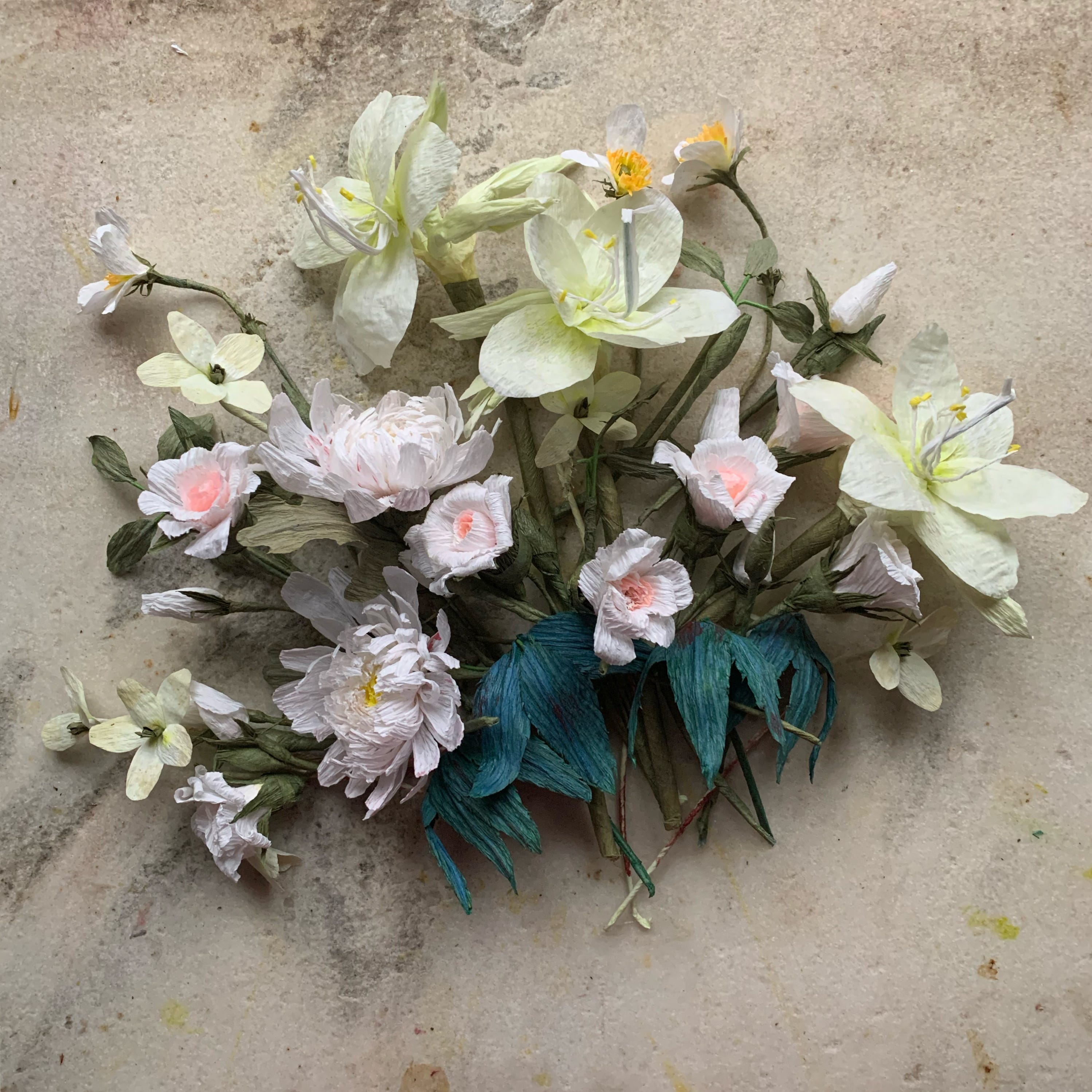 Amity Katharine Libby | Substack