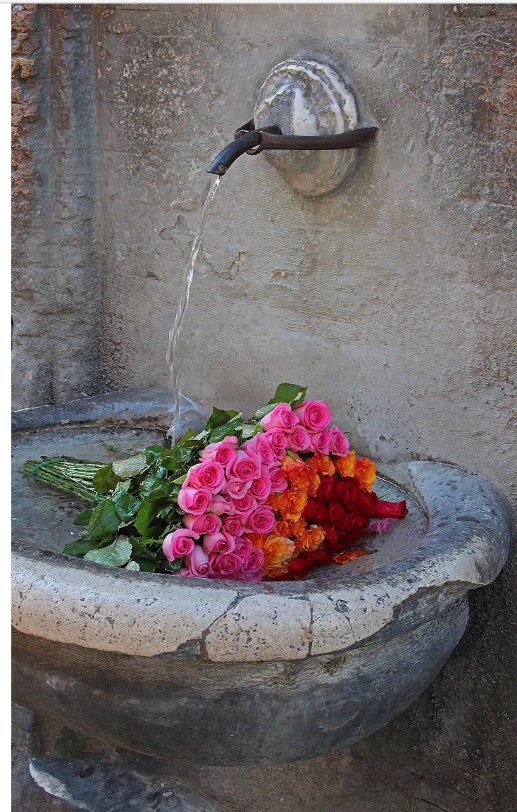 Late Summer Visual interlude - by Toronto Ink Company