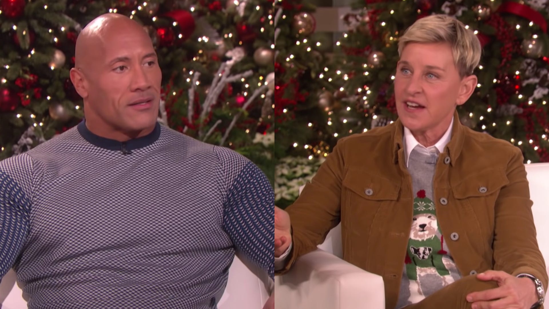 Who's More Famous: The Rock or Ellen?