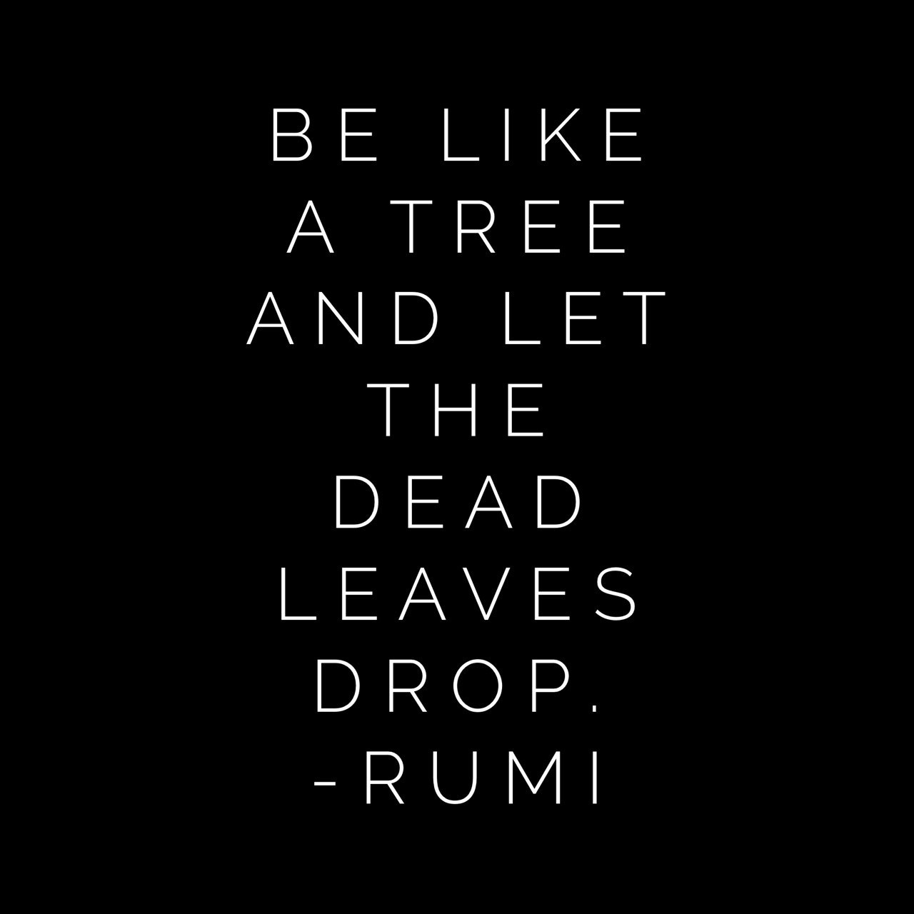 Be Like a Tree and Let the Dead Leaves Drop