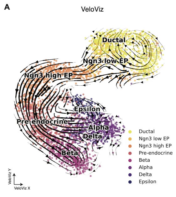Visualizing cellular trajectories - by Elliot Hershberg