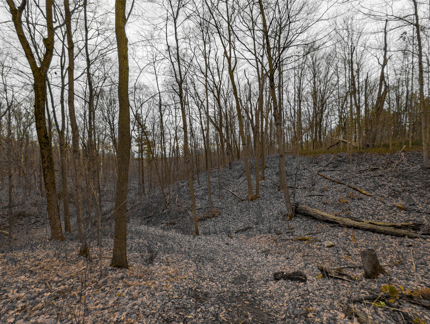 Snapshots of Long Sault Conservation Area Between the Fall & Winter Time