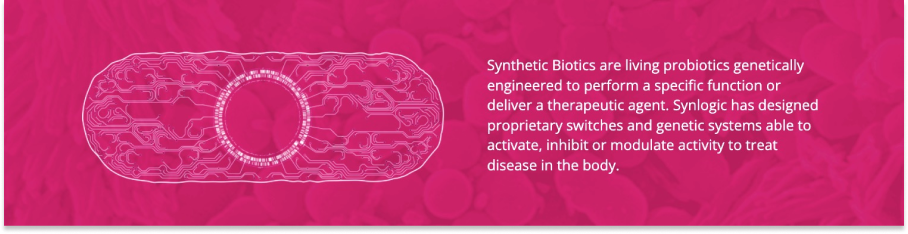 Ginkgo Bioworks: The Organism Company
