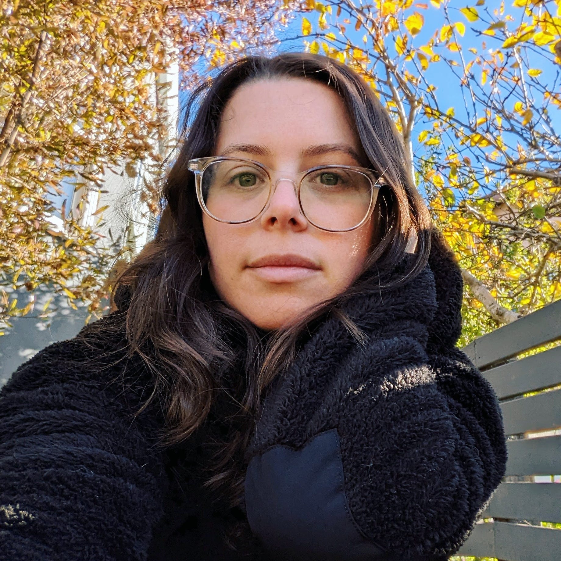 Hannah Levy | Substack