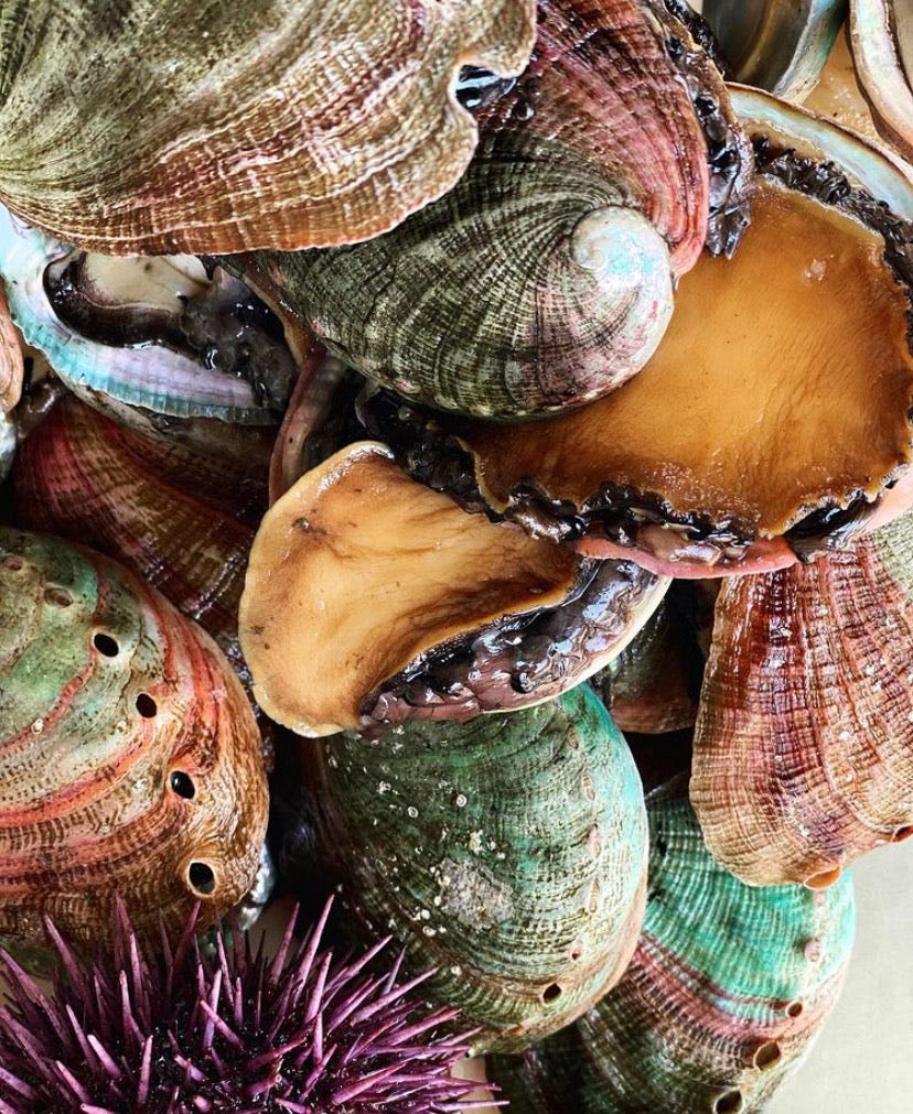 Eating Abalone with a Mermaid - by Georgia Freedman