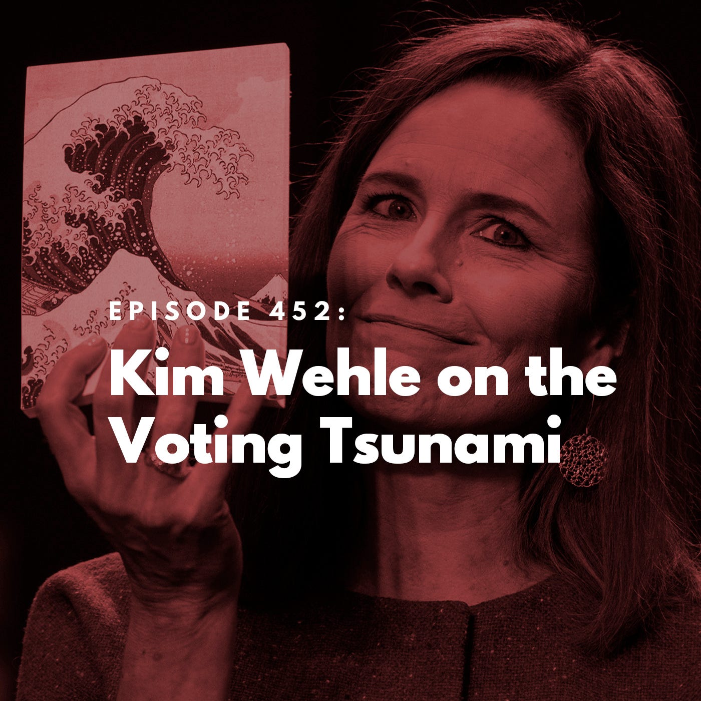 Kim Wehle on the Voting Tsunami - by Charlie Sykes
