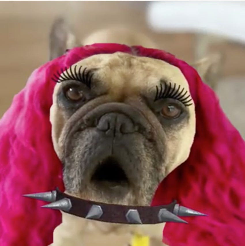 George the Dog Impersonates Two New Zealand Scientists