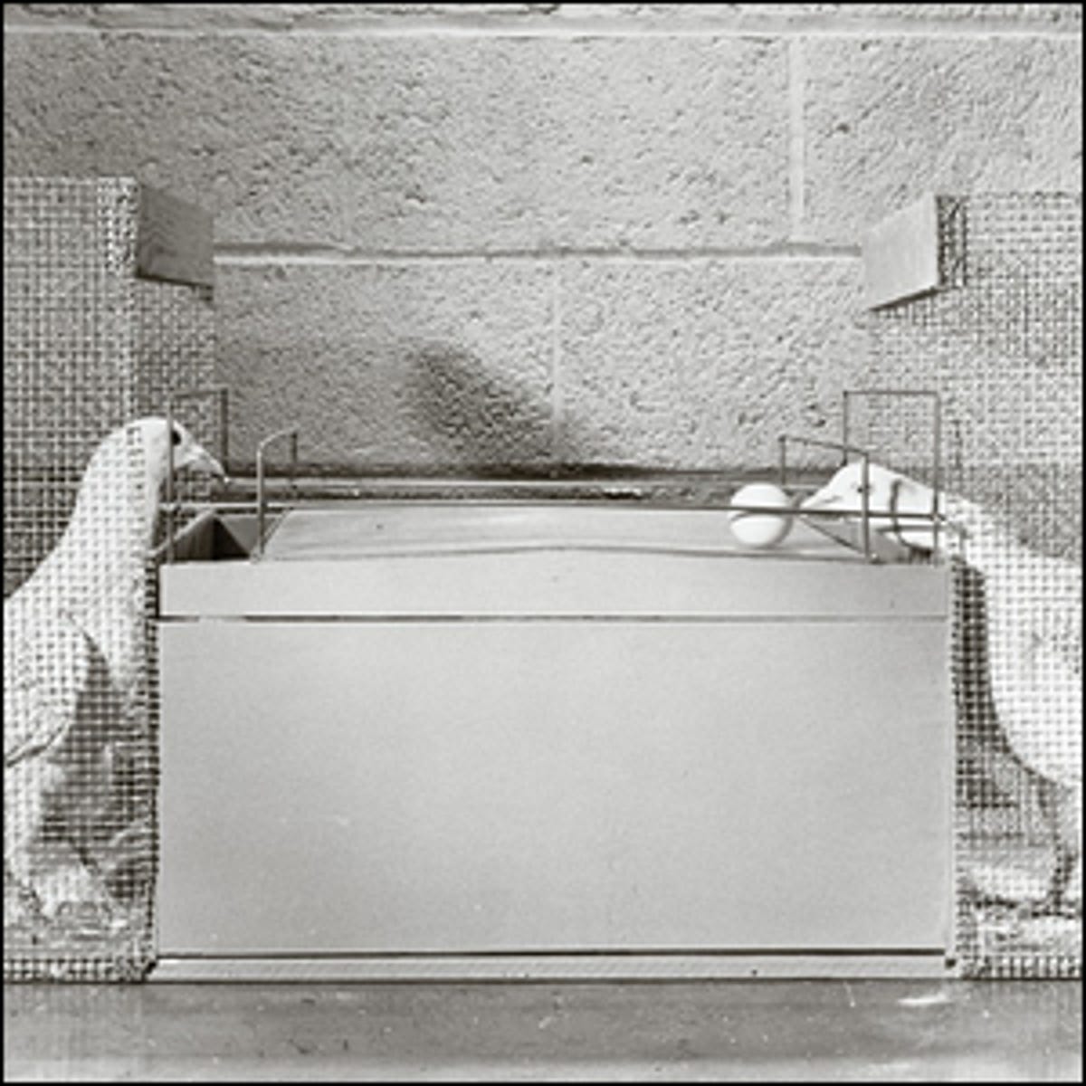 When ping-pong playing pigeons hold back scientific progress